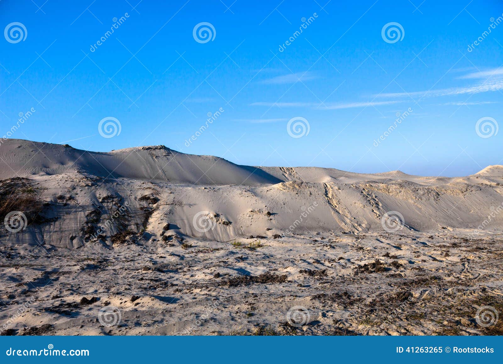 Gray Sand Dunes with the Grass Grown through the Sandy Surface Stock ...