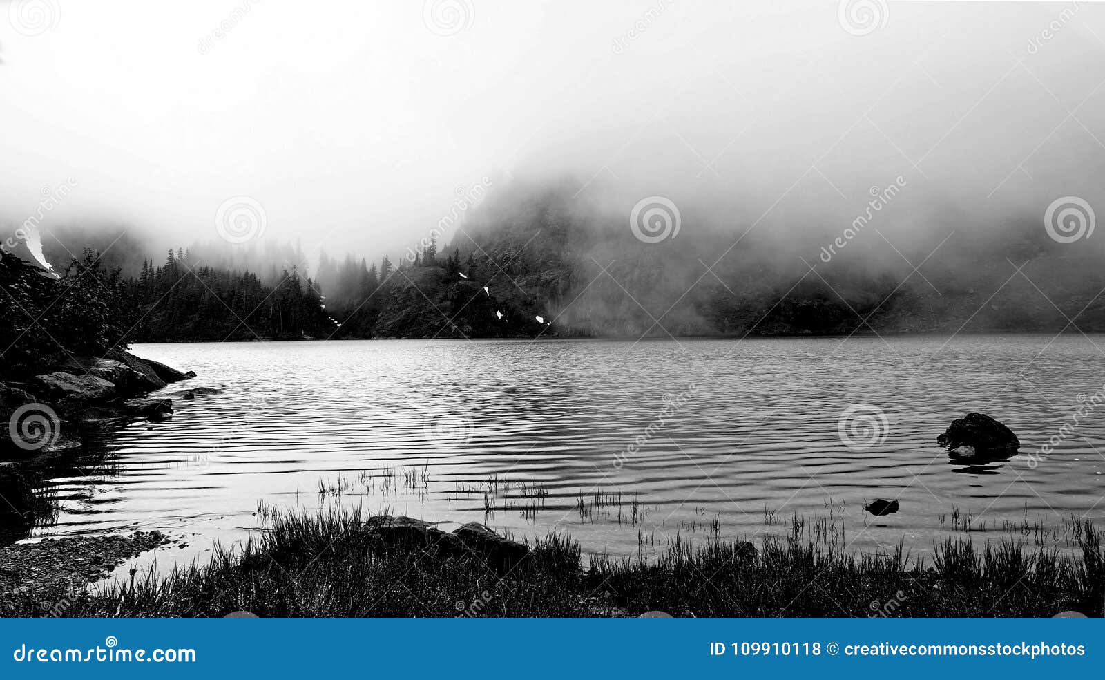 Gray Scale Body Of Water Picture. Image: 109910118