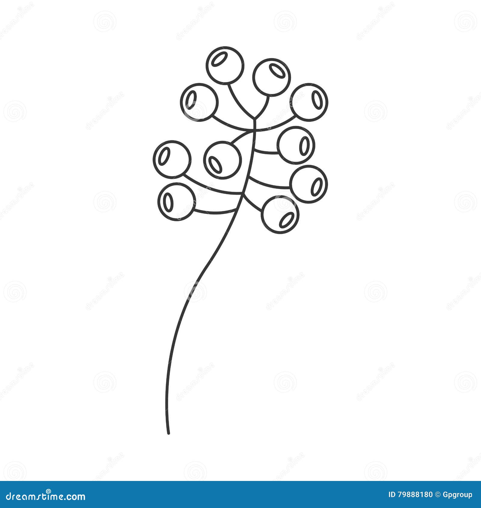 Gray Scale Branch Olive with Fruits Contour Stock Vector - Illustration ...