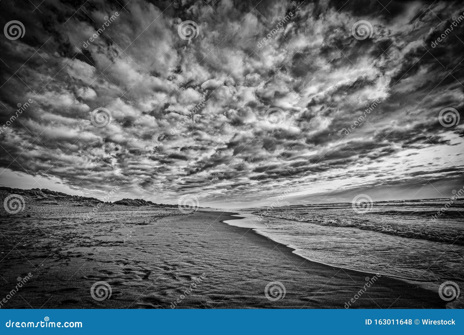 Gray Scale Shot of the Beach and the Sea Under the Magnificent Cloudy ...
