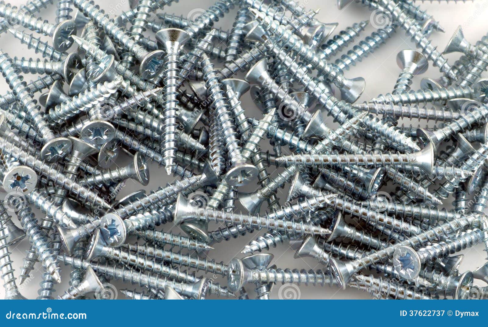 Gray Screws on White Background Closeup Stock Image - Image of object ...