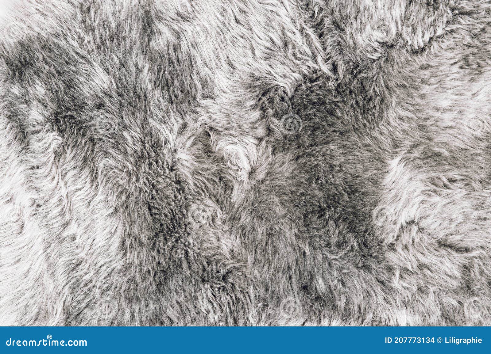 Gray Sheep Fur Grey Sheepskin Rug Background Texture Stock Photo ...