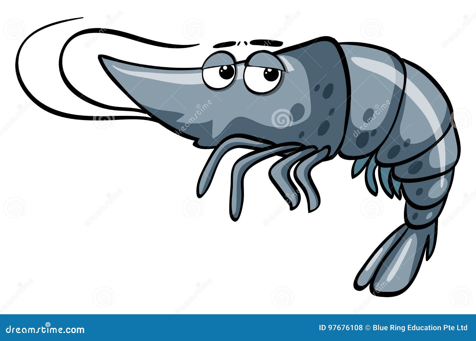 Gray shrimp with sad face stock vector. Illustration of seafood - 97676108