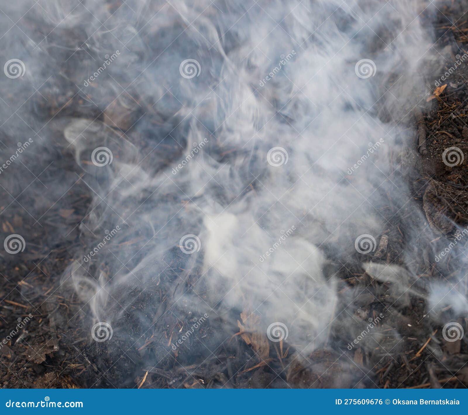 Gray Smoke when Burning Grass Stock Photo - Image of smog, texture ...