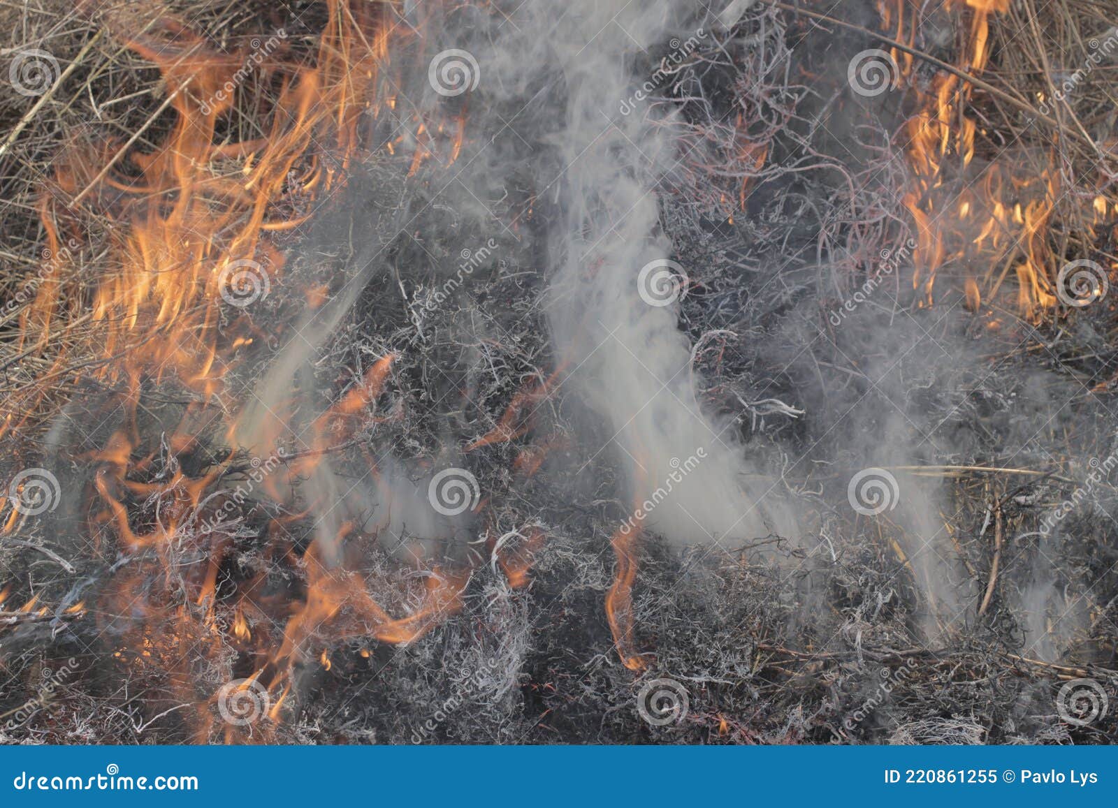 Gray Smoke during a Fire Close-up Stock Image - Image of gray, ecology ...