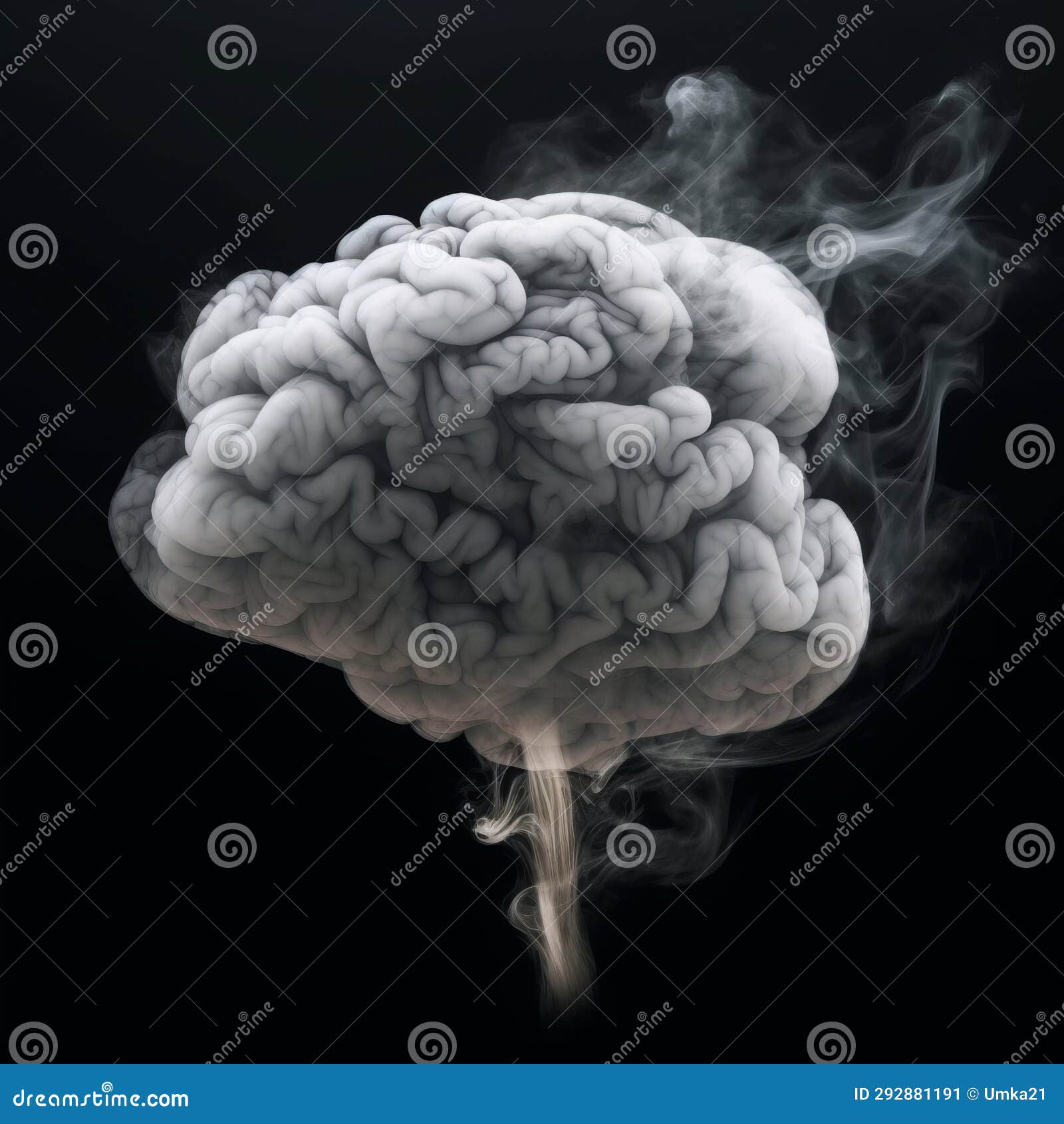 Gray Smoke in the Form of a Human Brain, on a Dark Background Stock ...