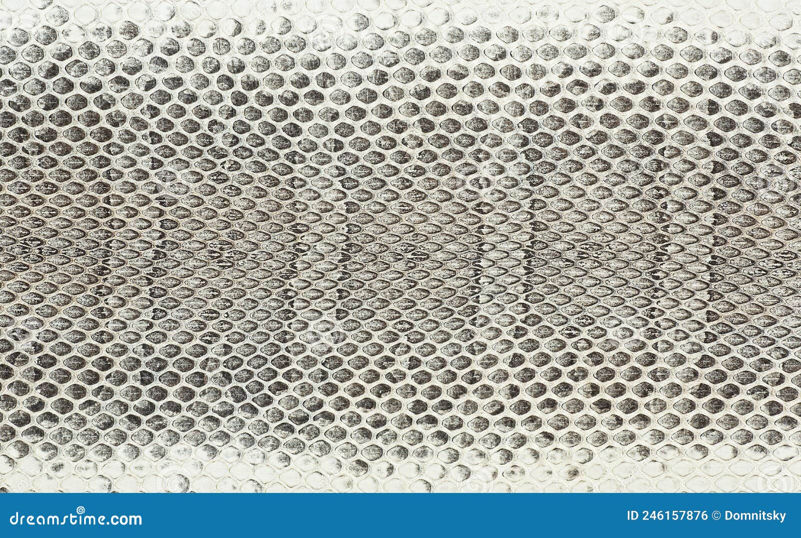 Gray Snake Skin Pattern Background. Stock Photo - Image of wildlife ...