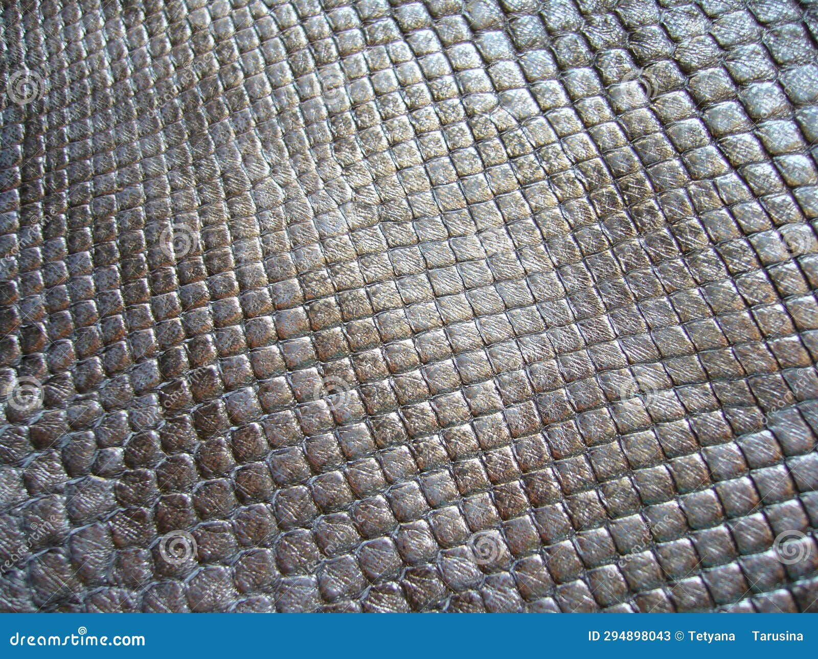 Gray Snakeskin with Scales, Genuine Leather for Clothes, Bags. Gray ...