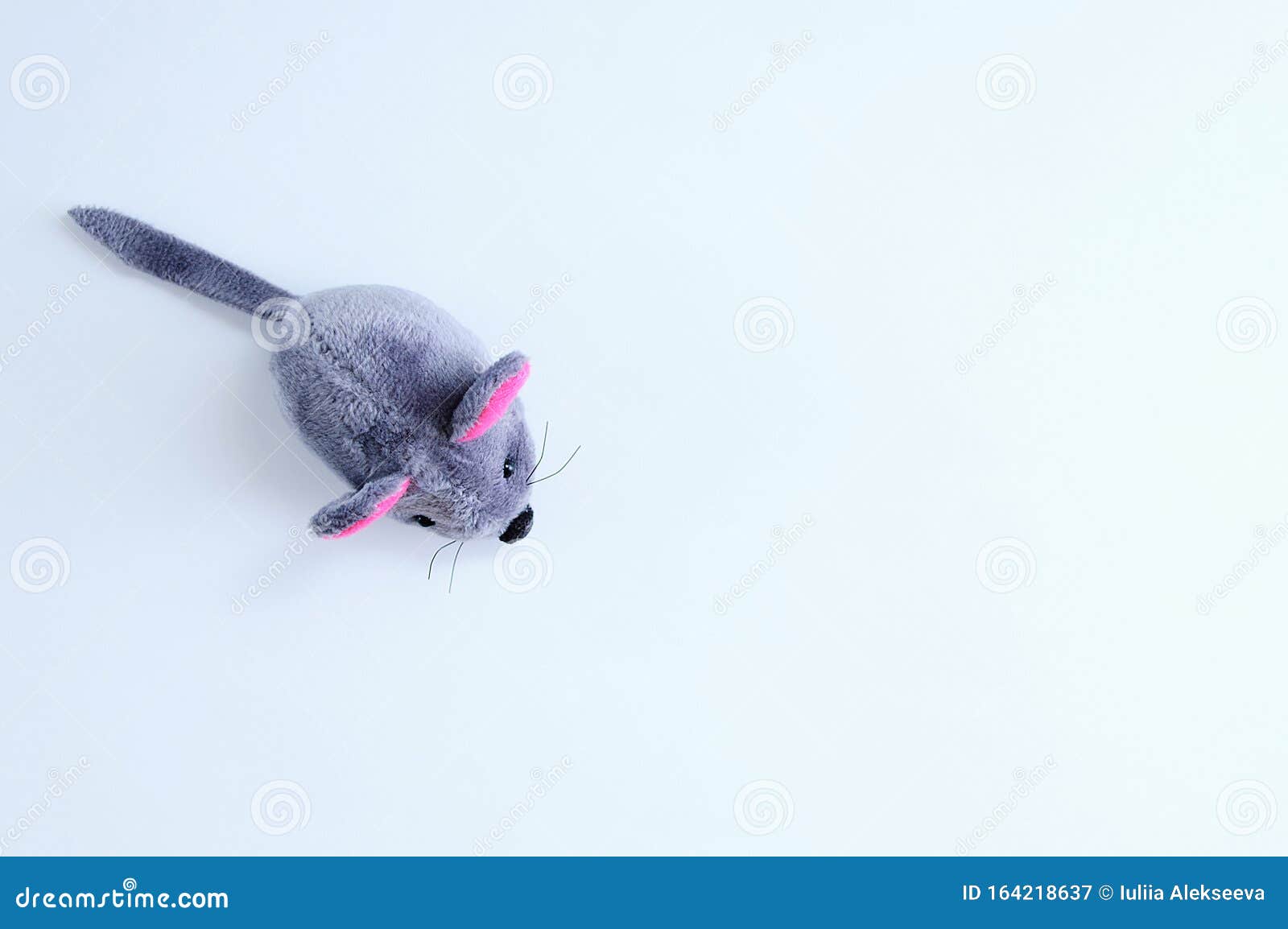 Gray Soft Mouse Toy on White Background. View from Above Stock Image ...