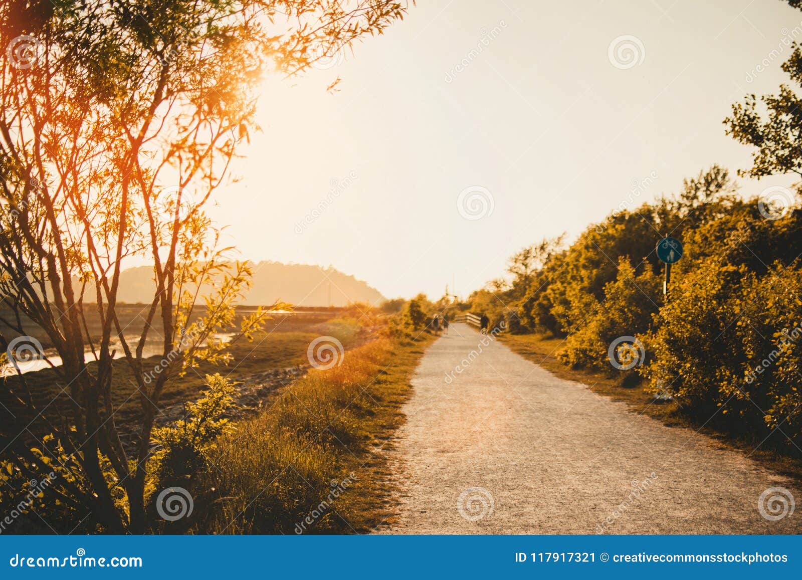 Gray Soil Pathway Between Grass Picture. Image: 117917321
