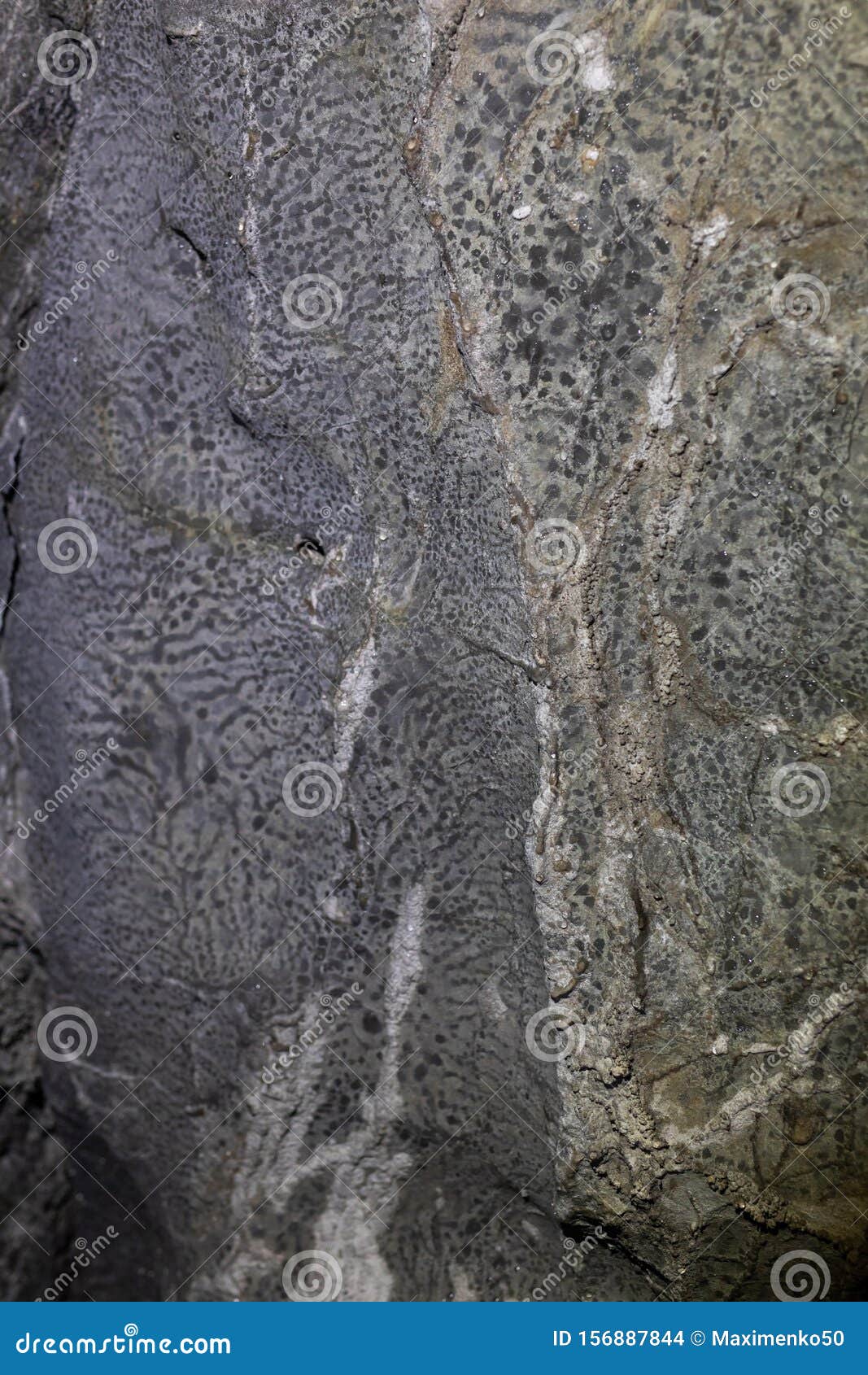 Gray Spotted Abstract Stone Textured Background. Rock Formations in ...