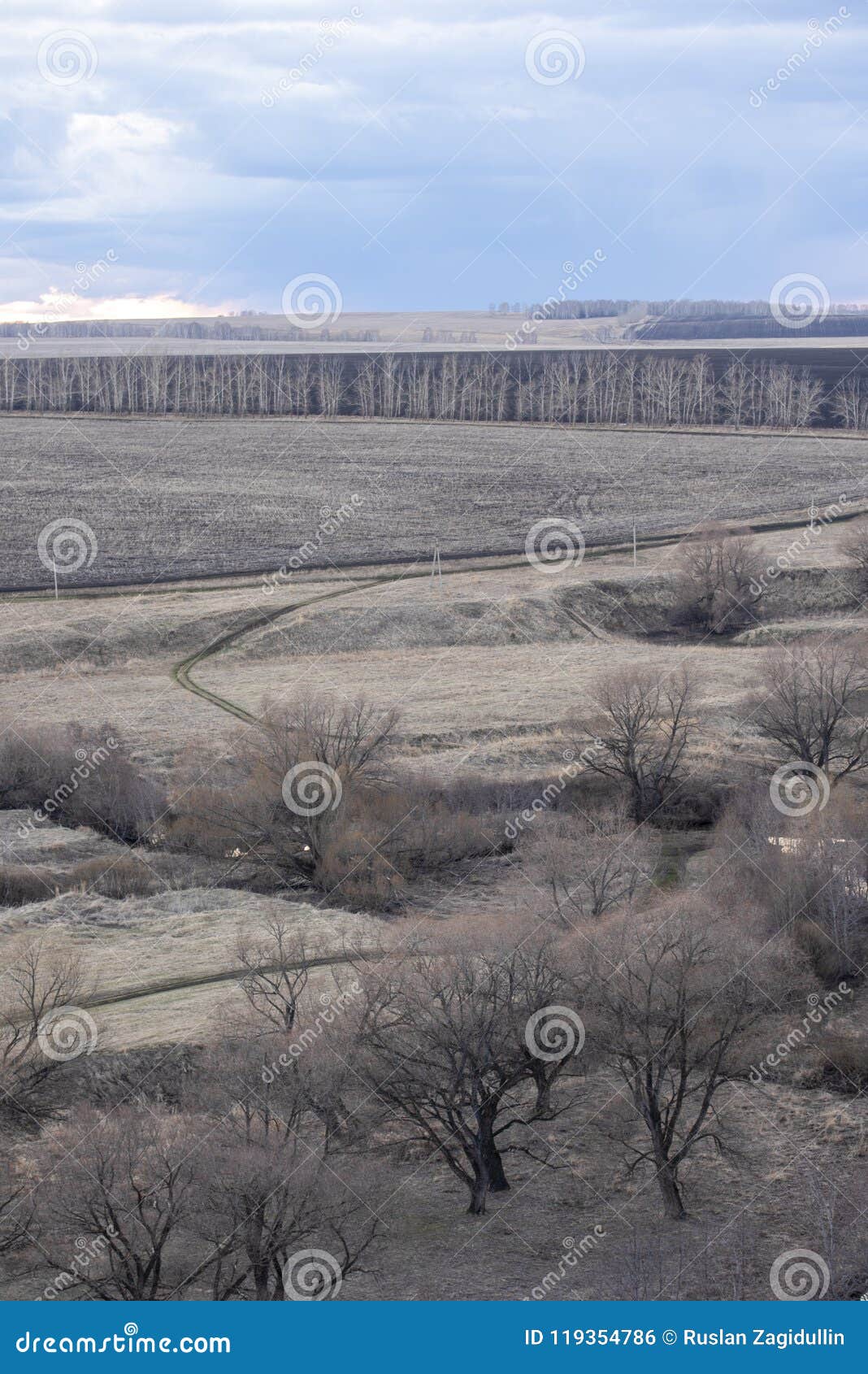 Gray Spring Vertical Landscape Stock Photo - Image of gray, park: 119354786
