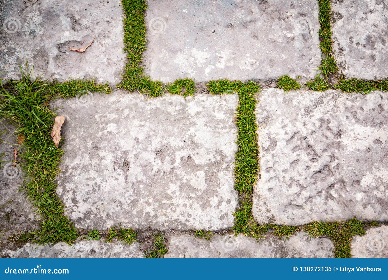 Gray Stone on Earth. the Texture of a Stone Laid on the Road Stock ...