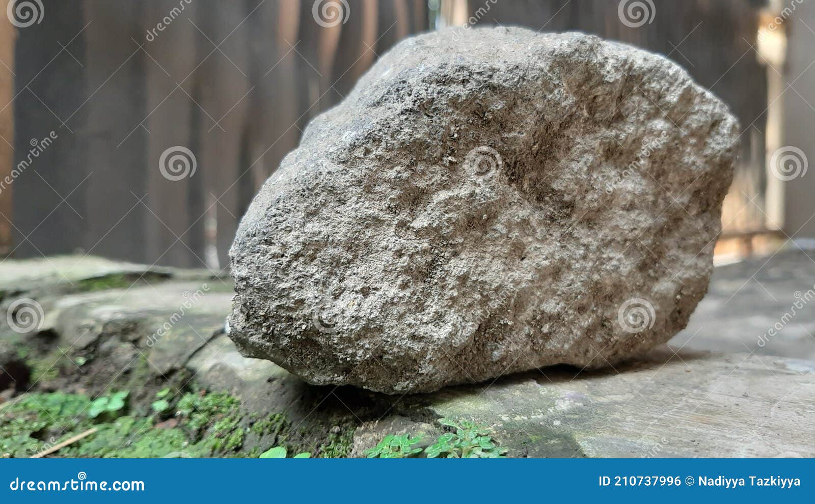 A gray stone on the ground stock photo. Image of soil - 210737996