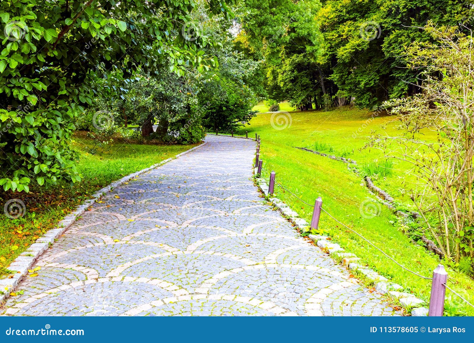A Gray Stone Path with Ornament in the Forest Stock Image - Image of ...