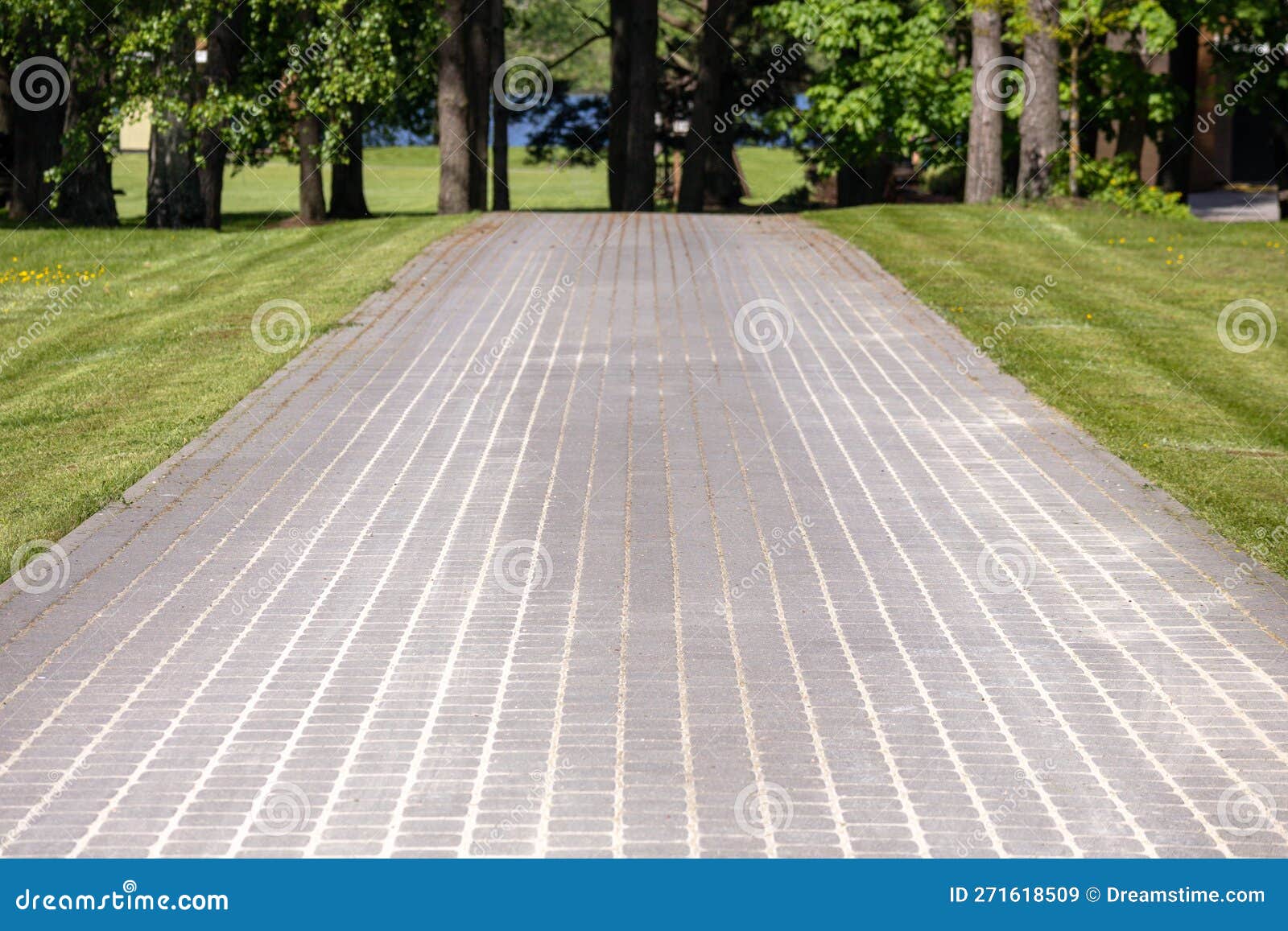 Gray Stone Pavement on Perspective among Green Grass Stock Image ...