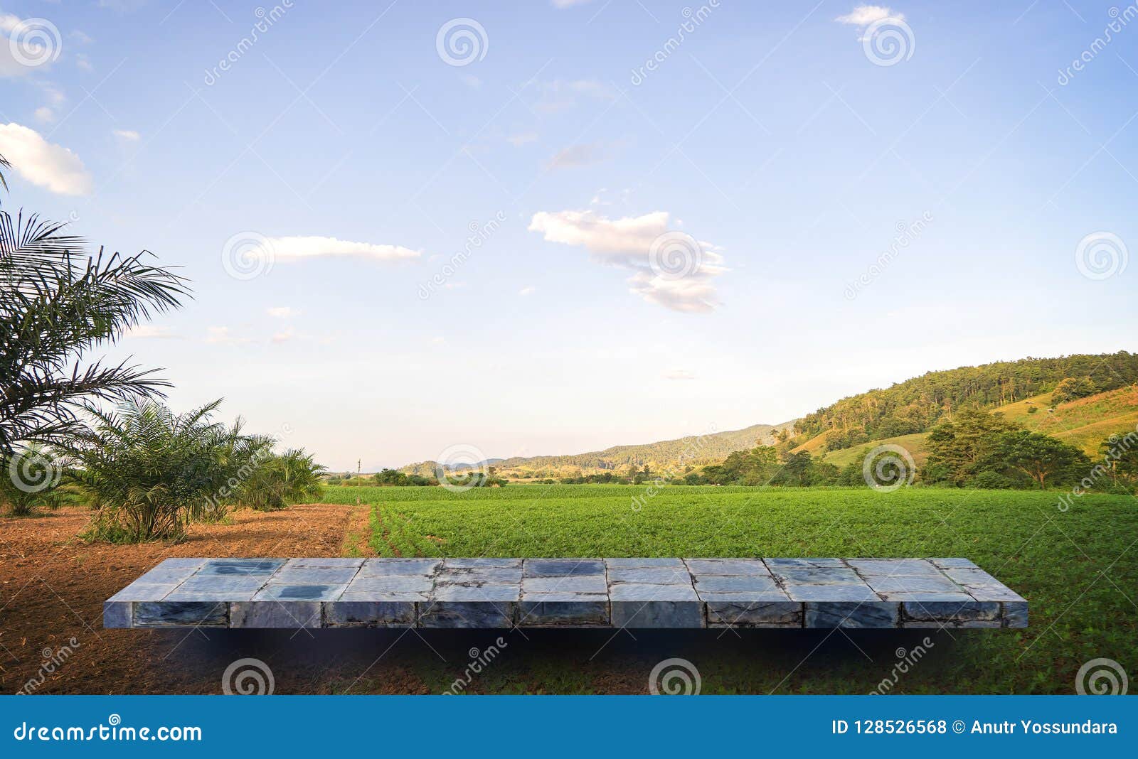 Stone Rock Shelf on Paddy Field Stock Photo - Image of wall, textured ...