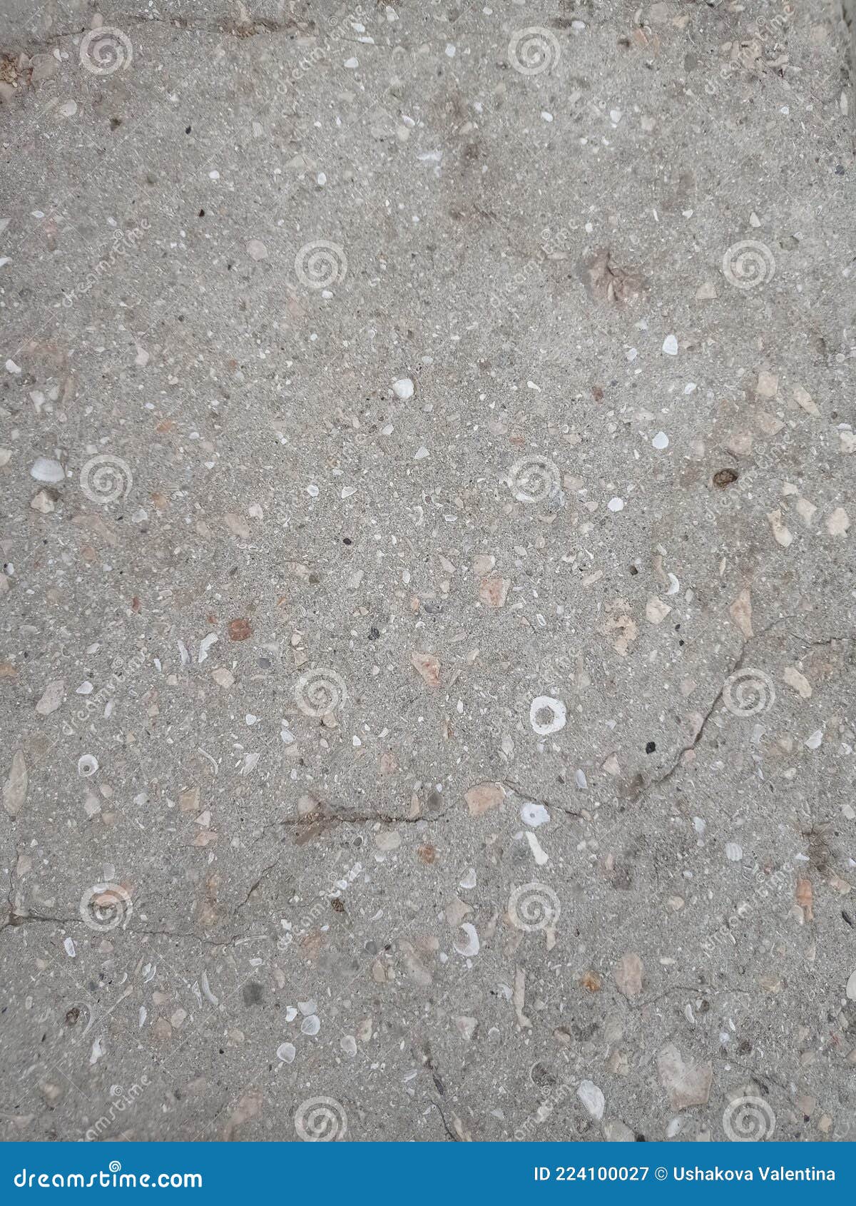 Gray Stone with Shells, Pabbles, Surface, Texture Stock Image - Image ...