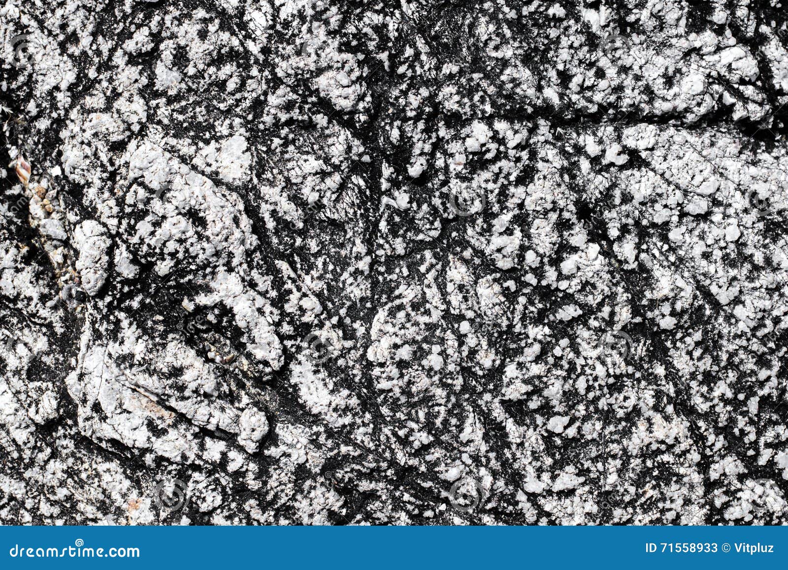 Gray Stone Slab Surface Grain Rock Backdrop Layout Industry ...