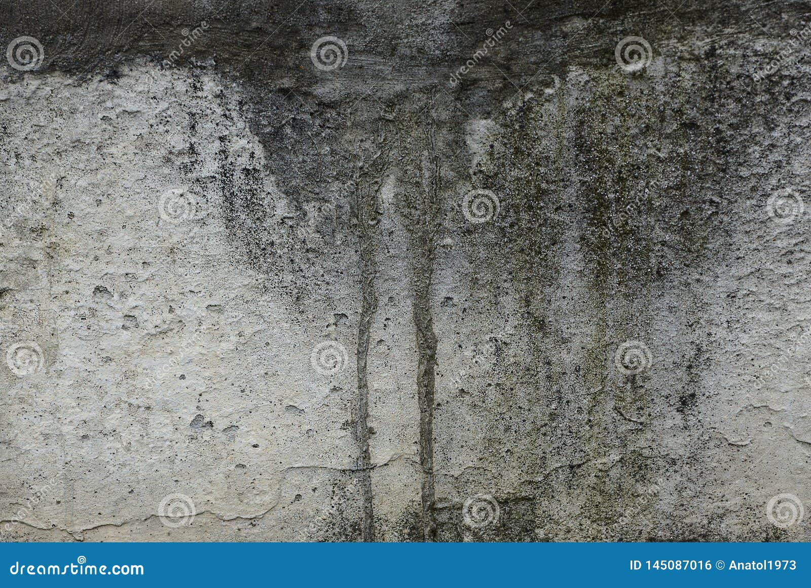 Water Stained Concrete Wall Stock Images - Download 307 Royalty Free Photos