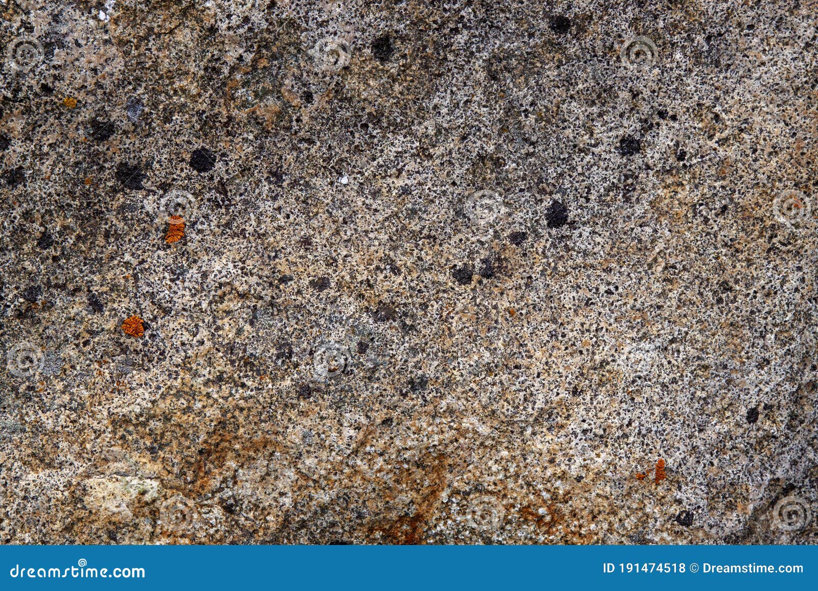 Gray Stone Texture with Inclusion and Homogeneous Background of the ...