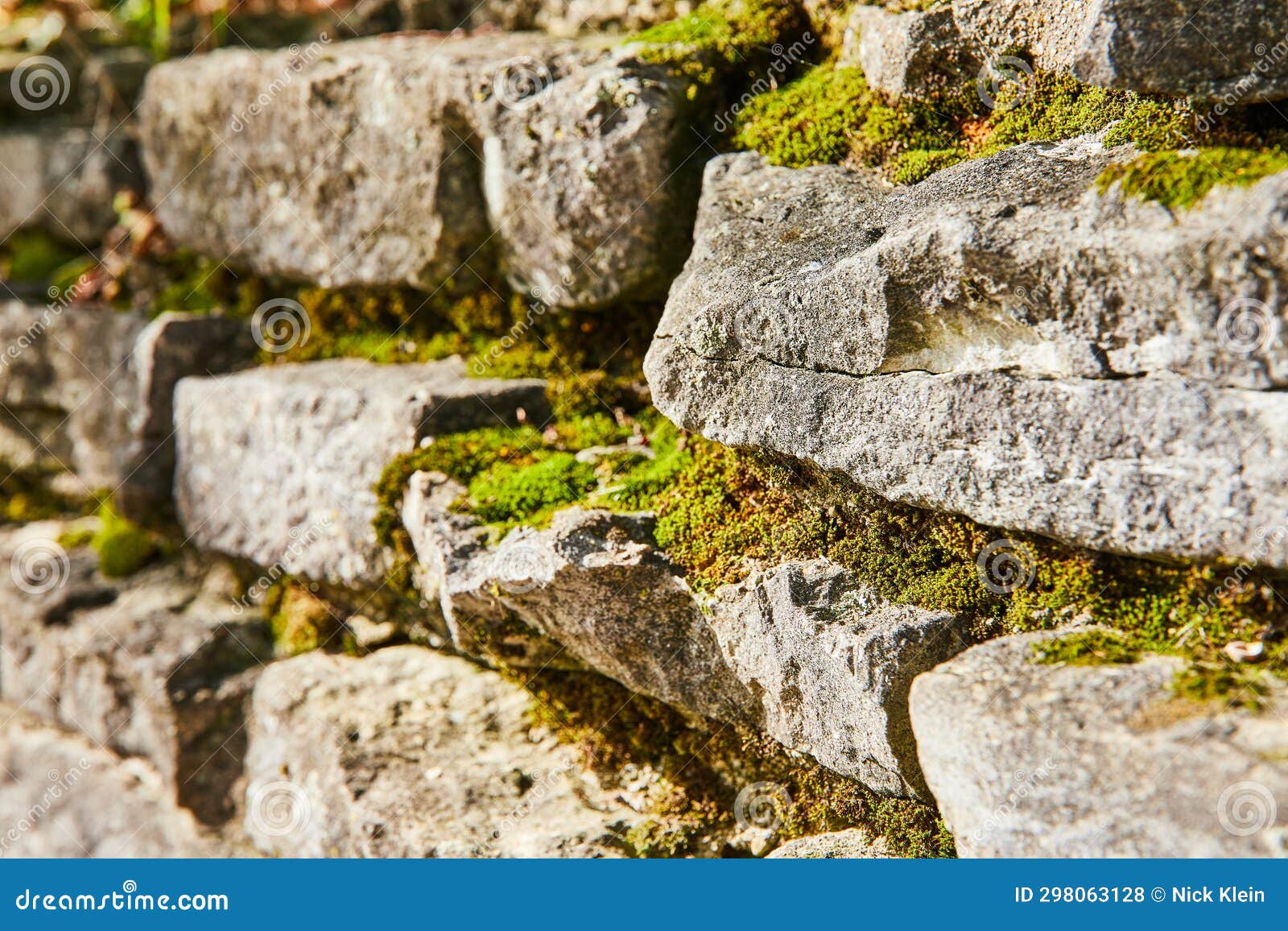 Gray Stone Wall with Green Moss, Lichen Growing between Slabs of Thick ...