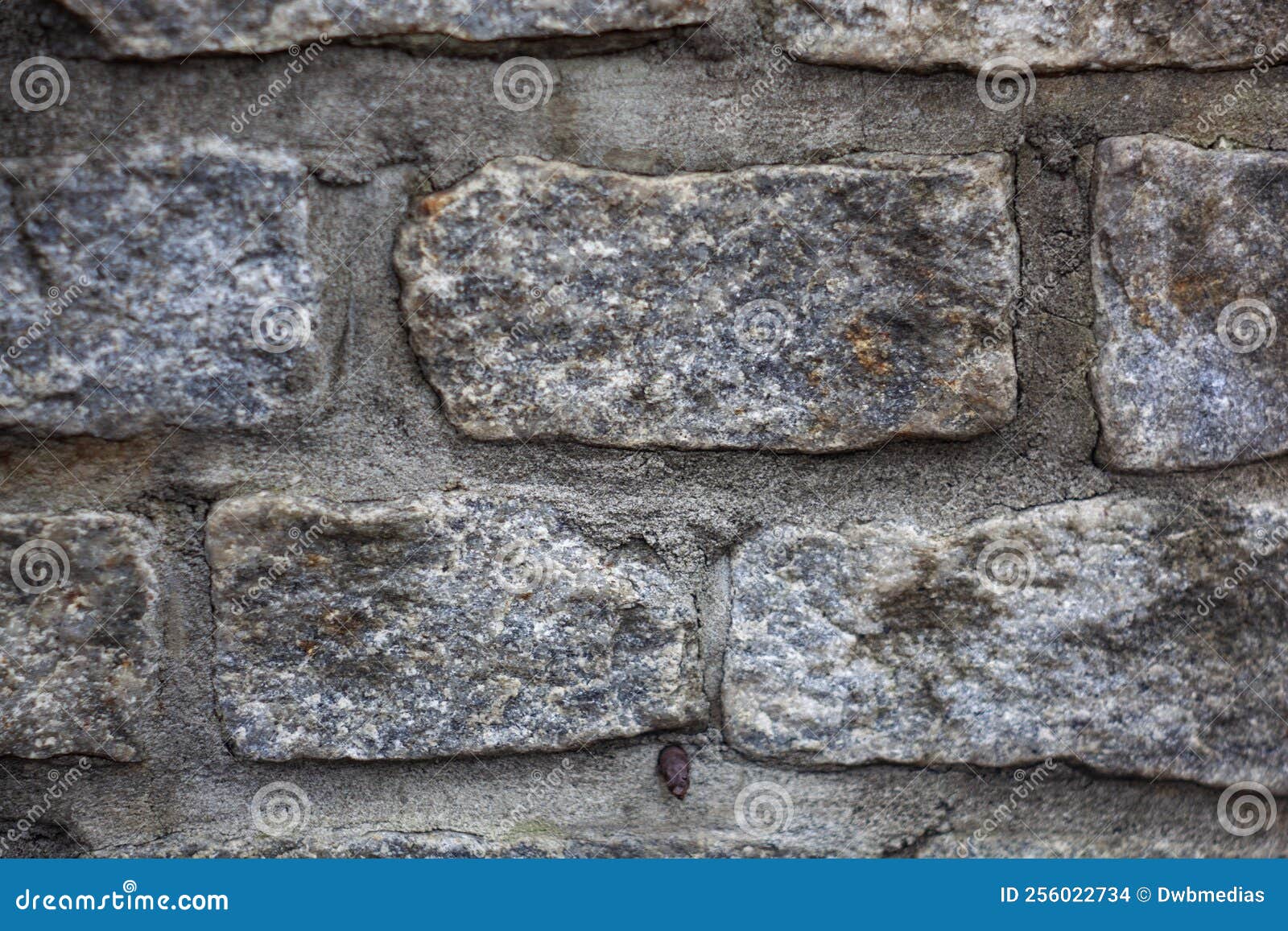 Gray stone wall stock photo. Image of rocks, landscaping - 256022734