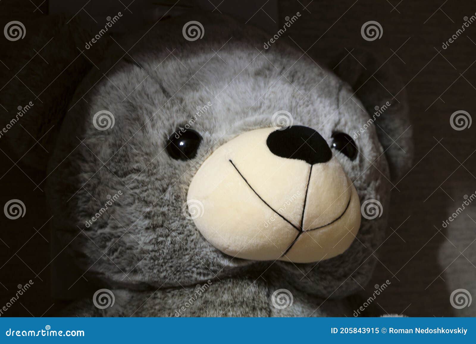 A Gray Teddy Bear Sits With Its Back To Us And Looks Into The Distance ...