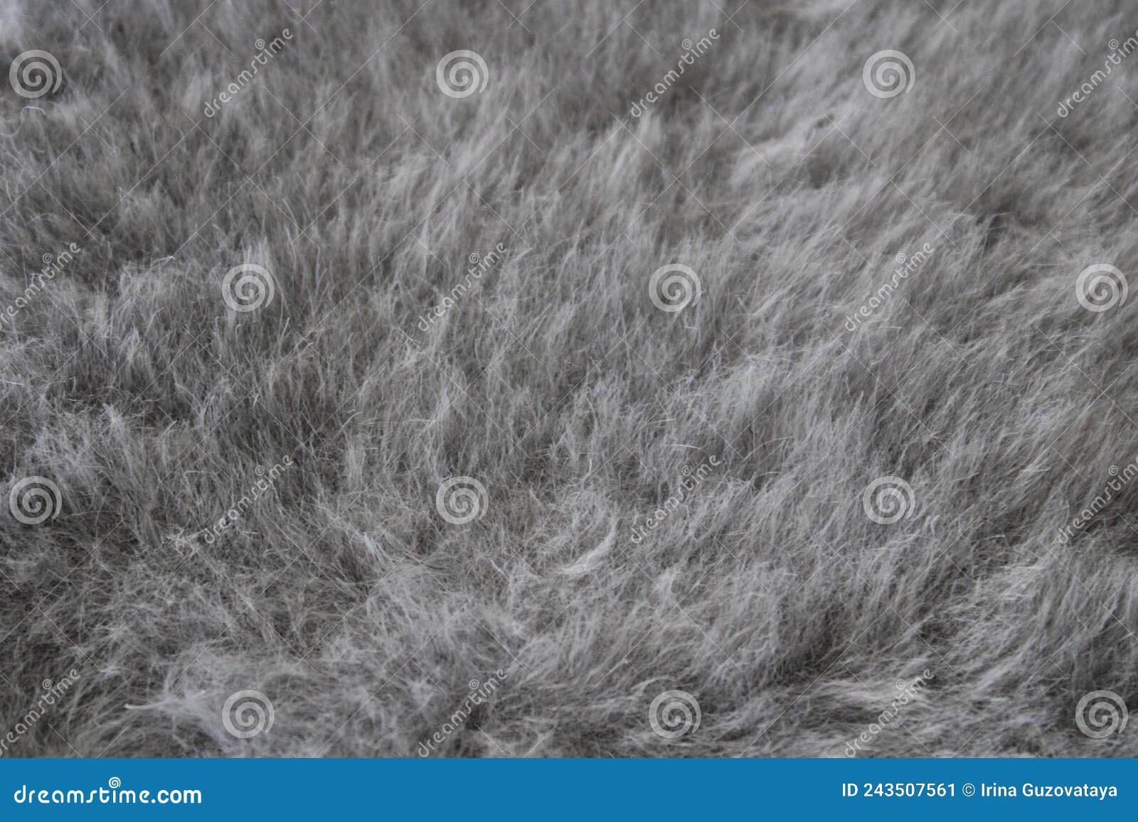 Gray Texture Background. Fur Background Stock Image - Image of close ...