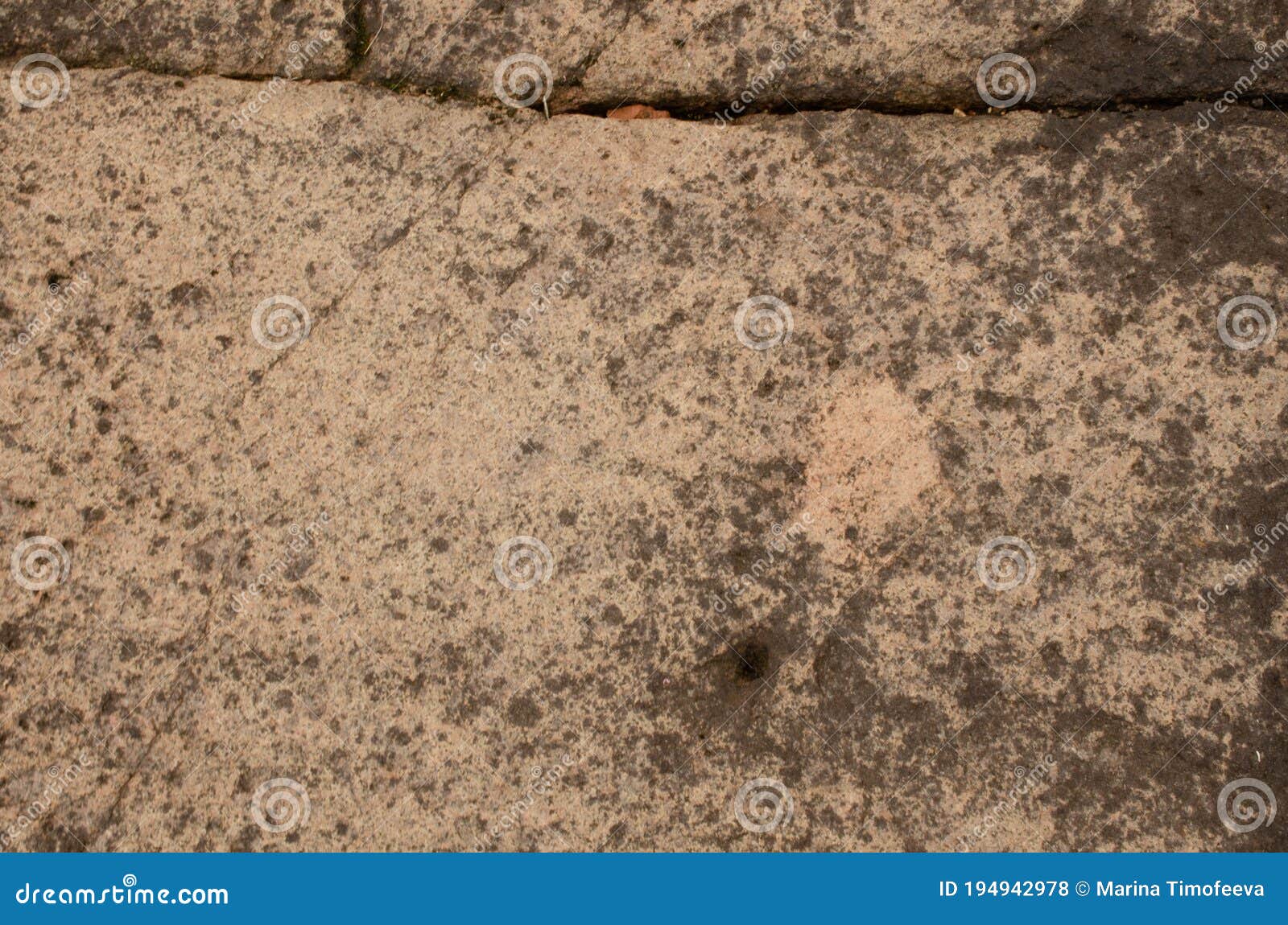 Gray Texture Diabase. Horizontal Background of Igneous Rock Stock Photo ...
