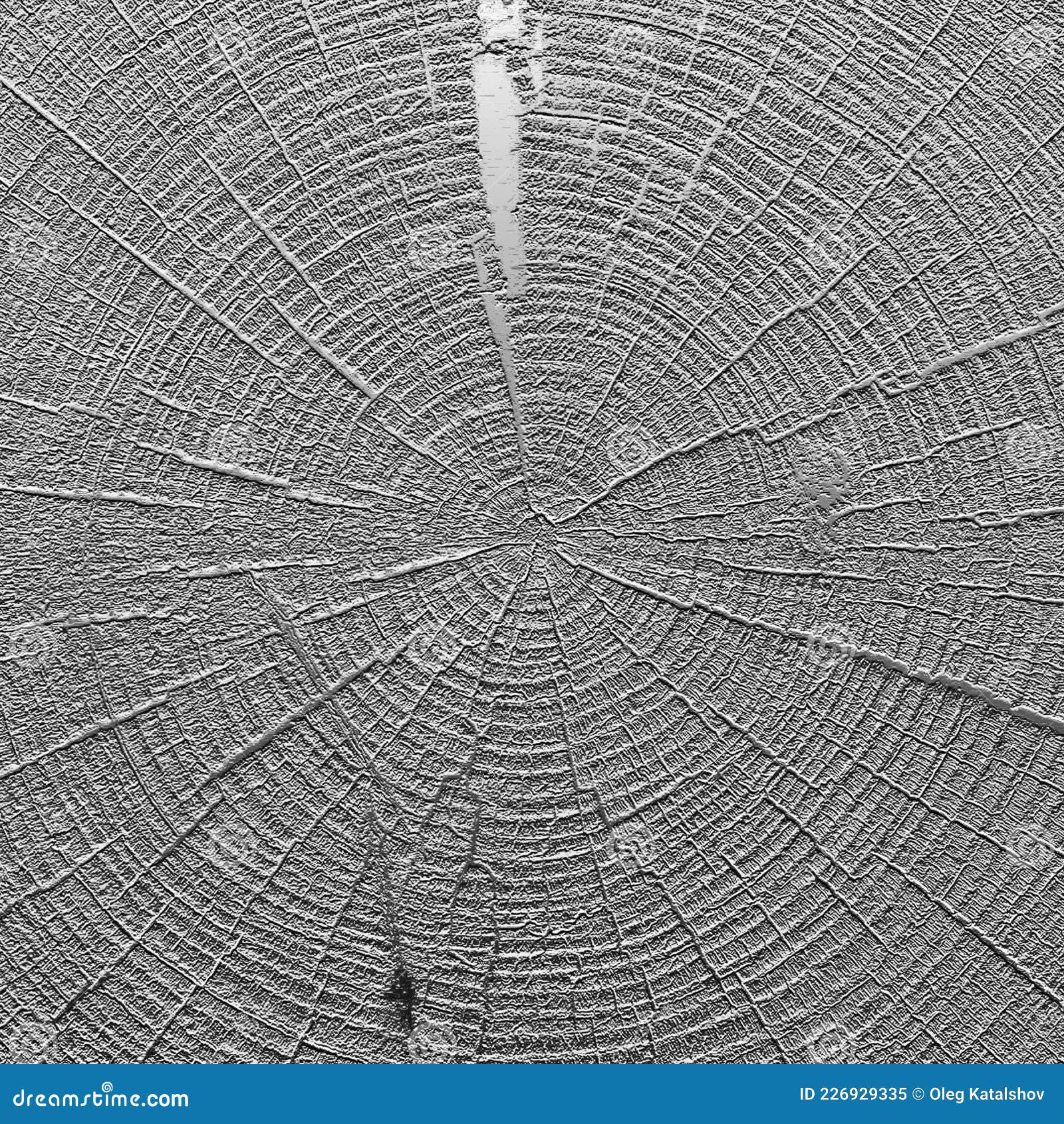 The Gray Texture of the Tree Trunk in the Section. Round Monochrome ...