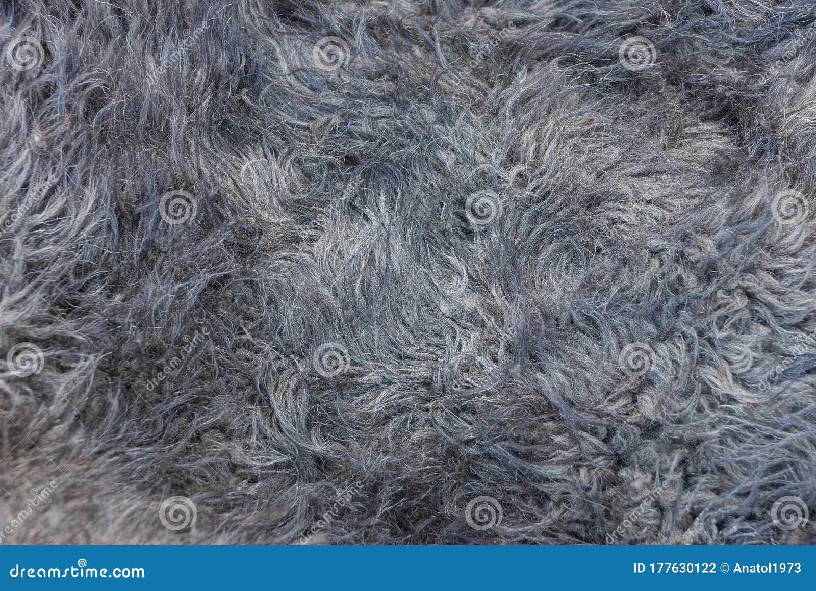 Gray Texture of Wool and Fur Stock Photo - Image of abstract, fiber ...