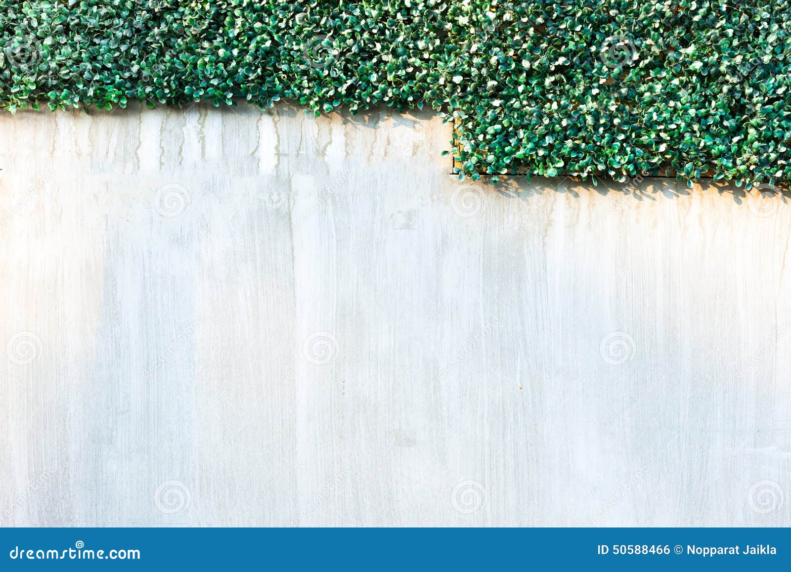 Gray Wall and Plastics Grass Texture Background Stock Photo - Image of ...