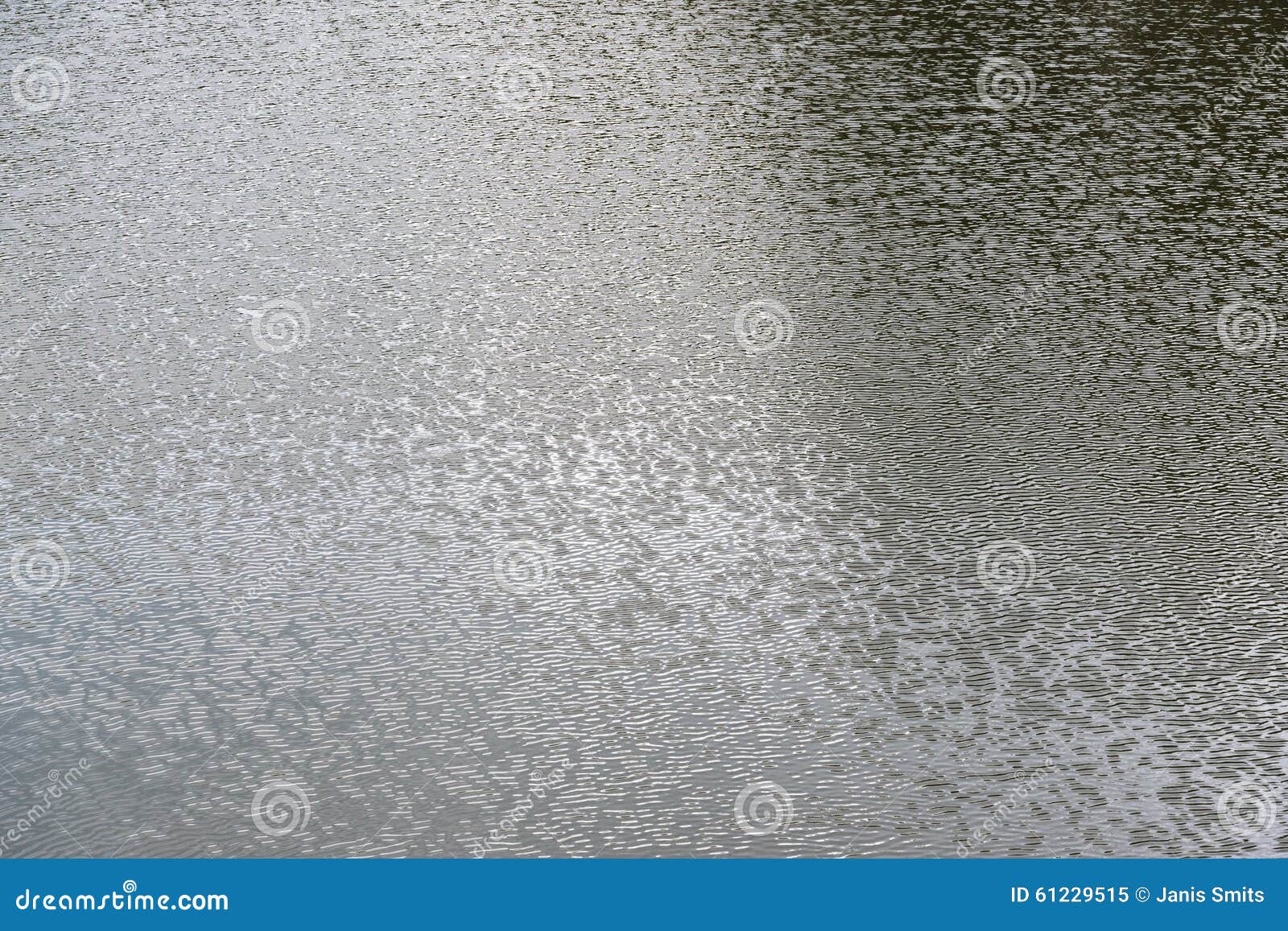 Gray water. stock image. Image of abstract, weather, autumn - 61229515