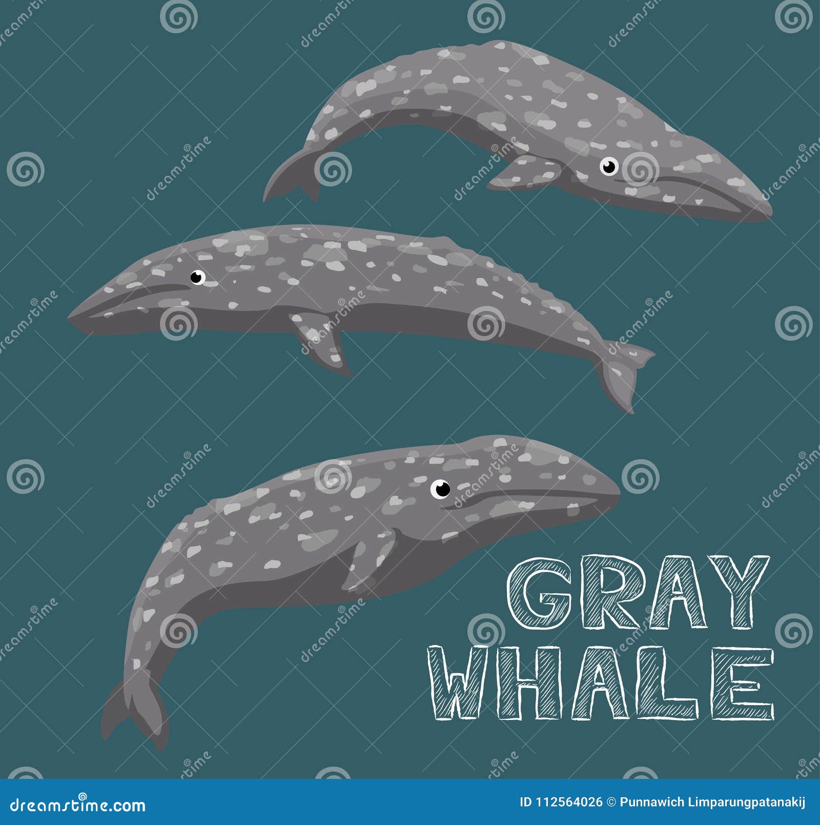 Gray Whale Cartoon Vector Illustration Illustrazione Vettoriale ...