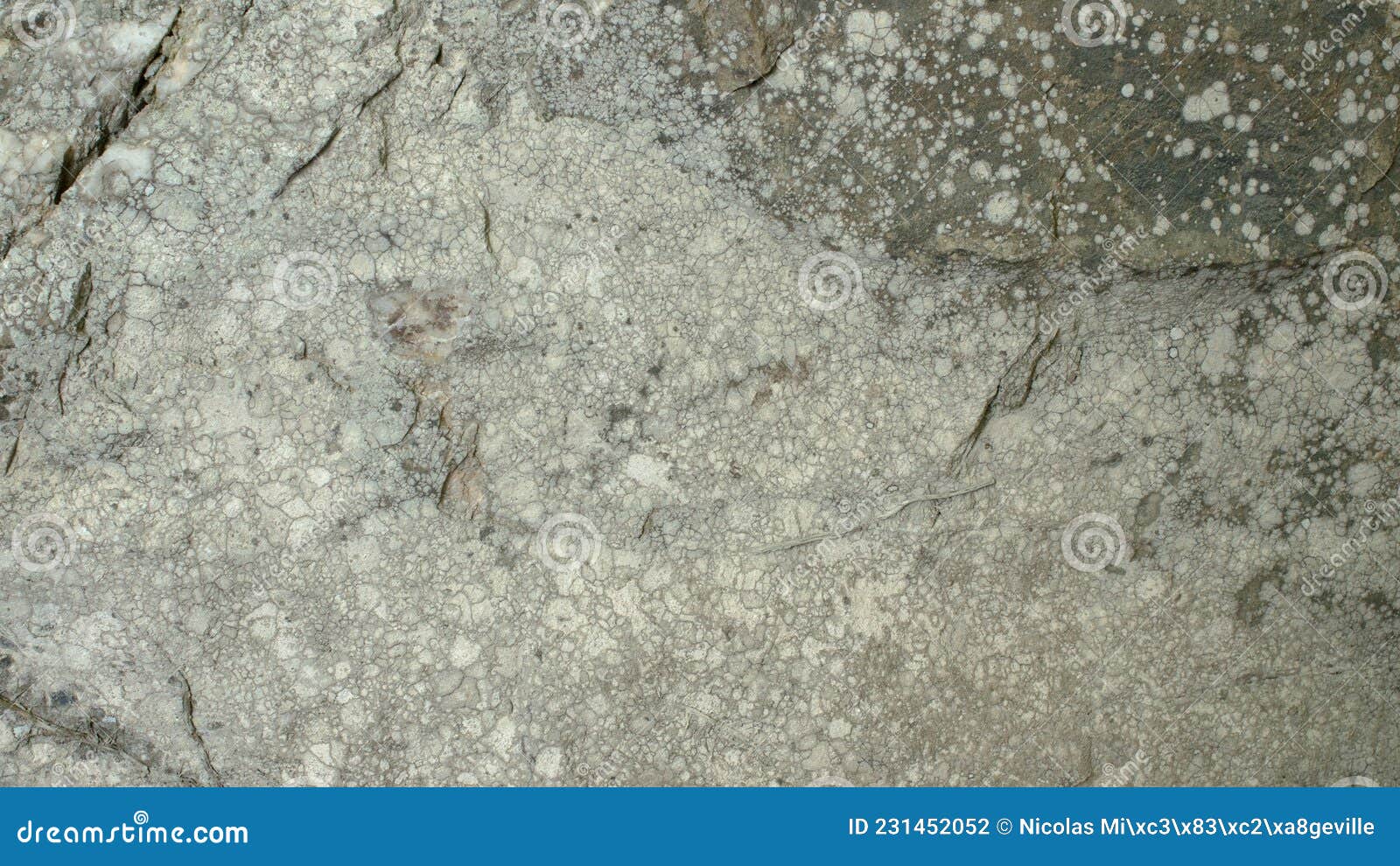 Gray White Green Scale Stone Texture for Background, Wallpaper ...