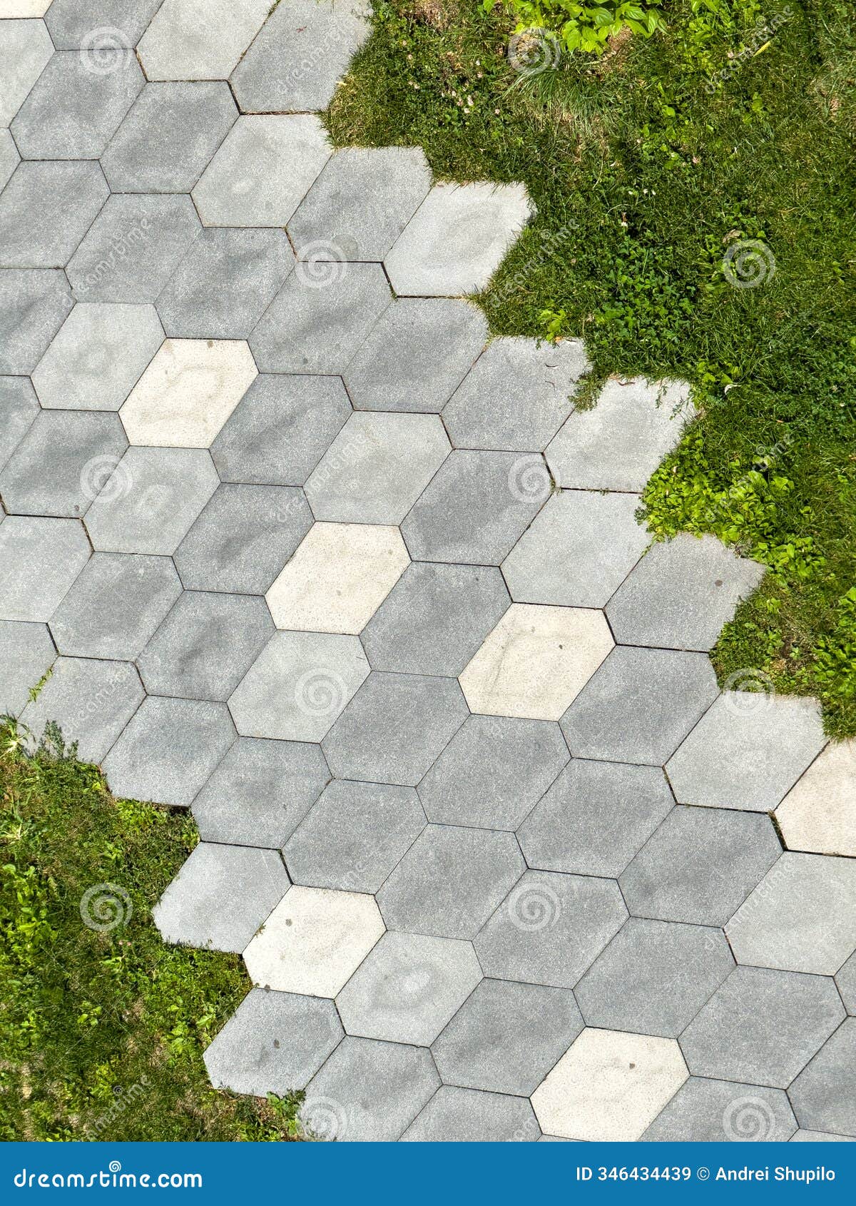 A Gray and White Tile Path with Green Grass Growing Up the Sides Stock ...