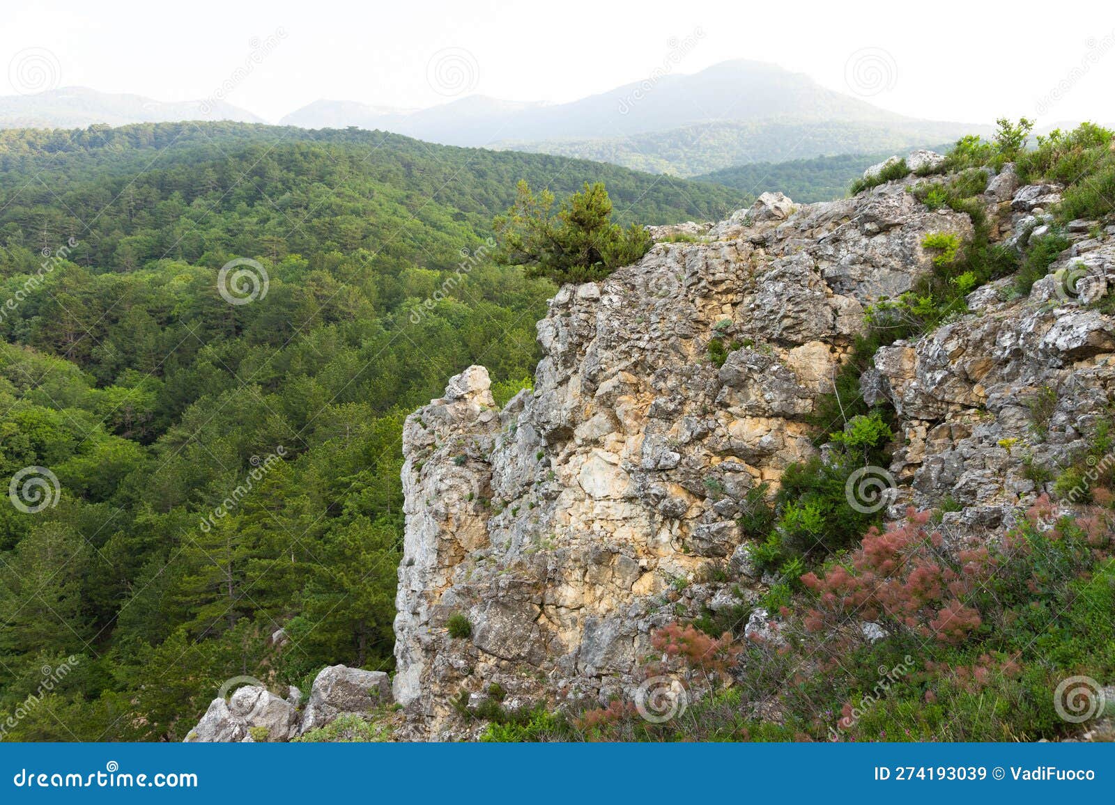Gray Wild Rocks and Wild Green Forest. View from Above Stock Image ...