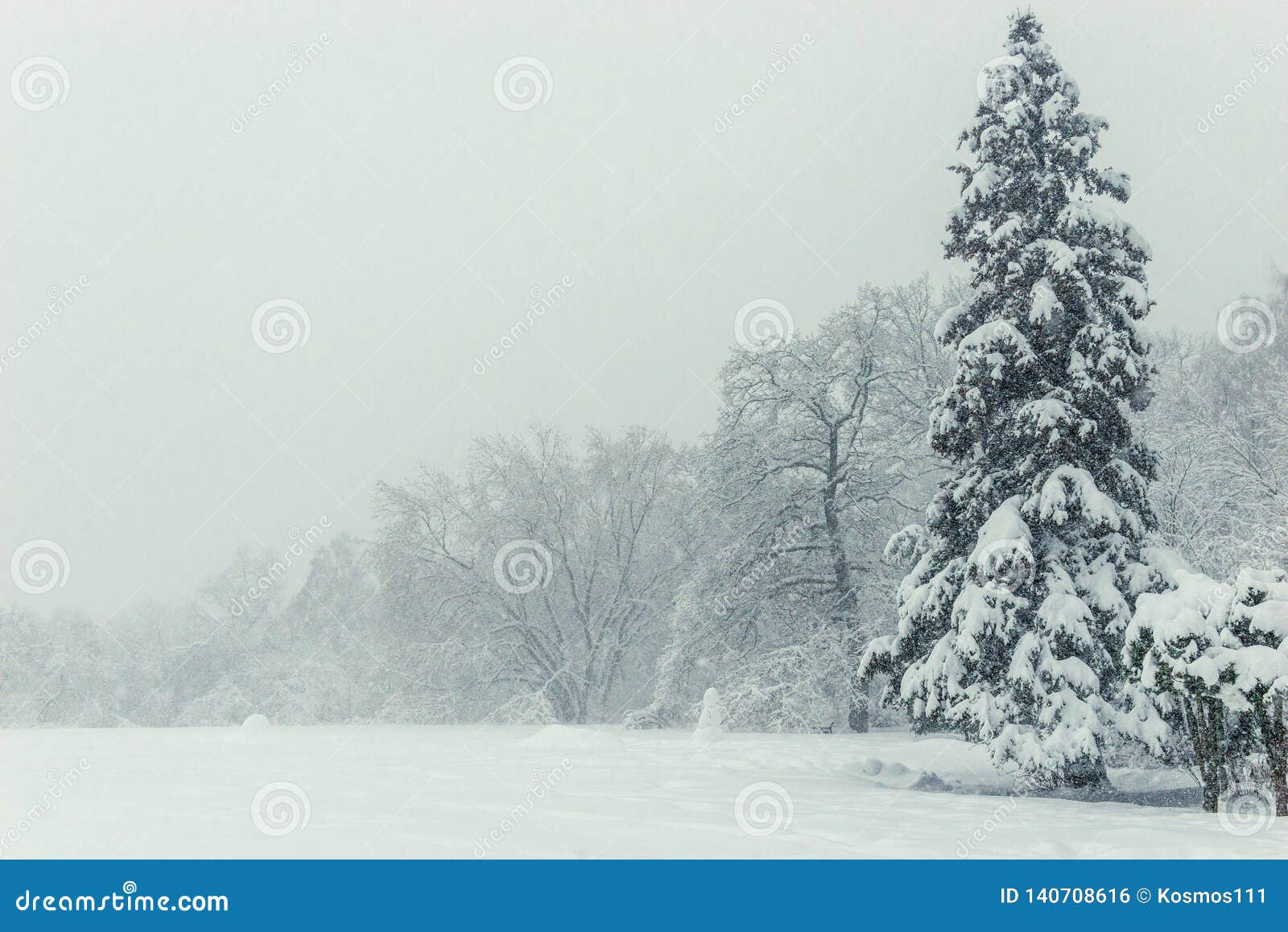 Gray Winter Dull Landscape - Bare Trees Stock Photo - Image of season ...