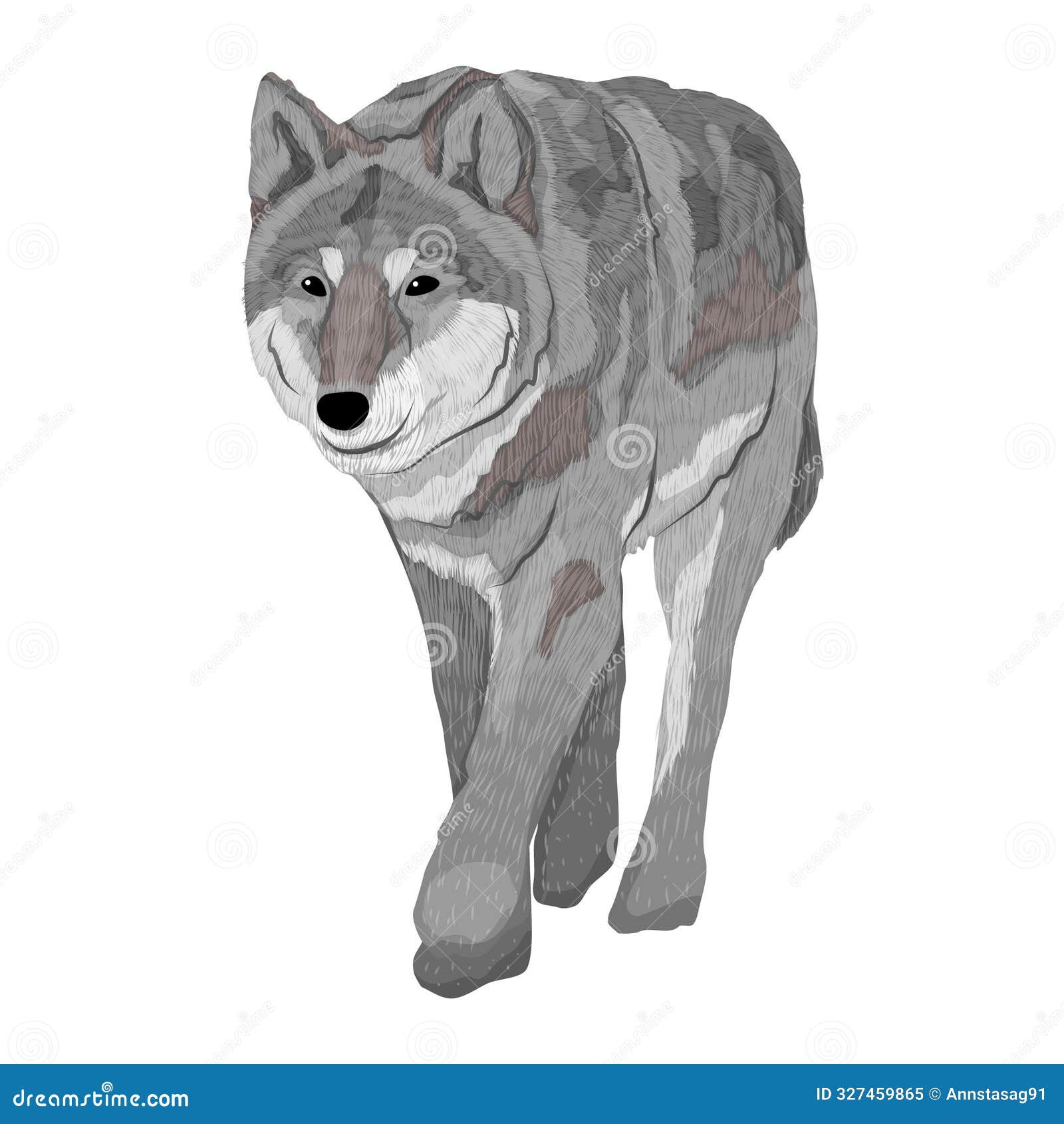 The Gray Wolf. Realistic Vector Stock Vector - Illustration of wild ...