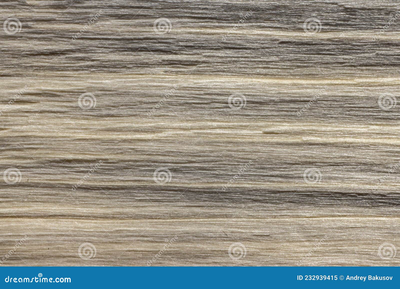 Gray Wood Texture Close Up, Background for Lettering and Design Stock ...