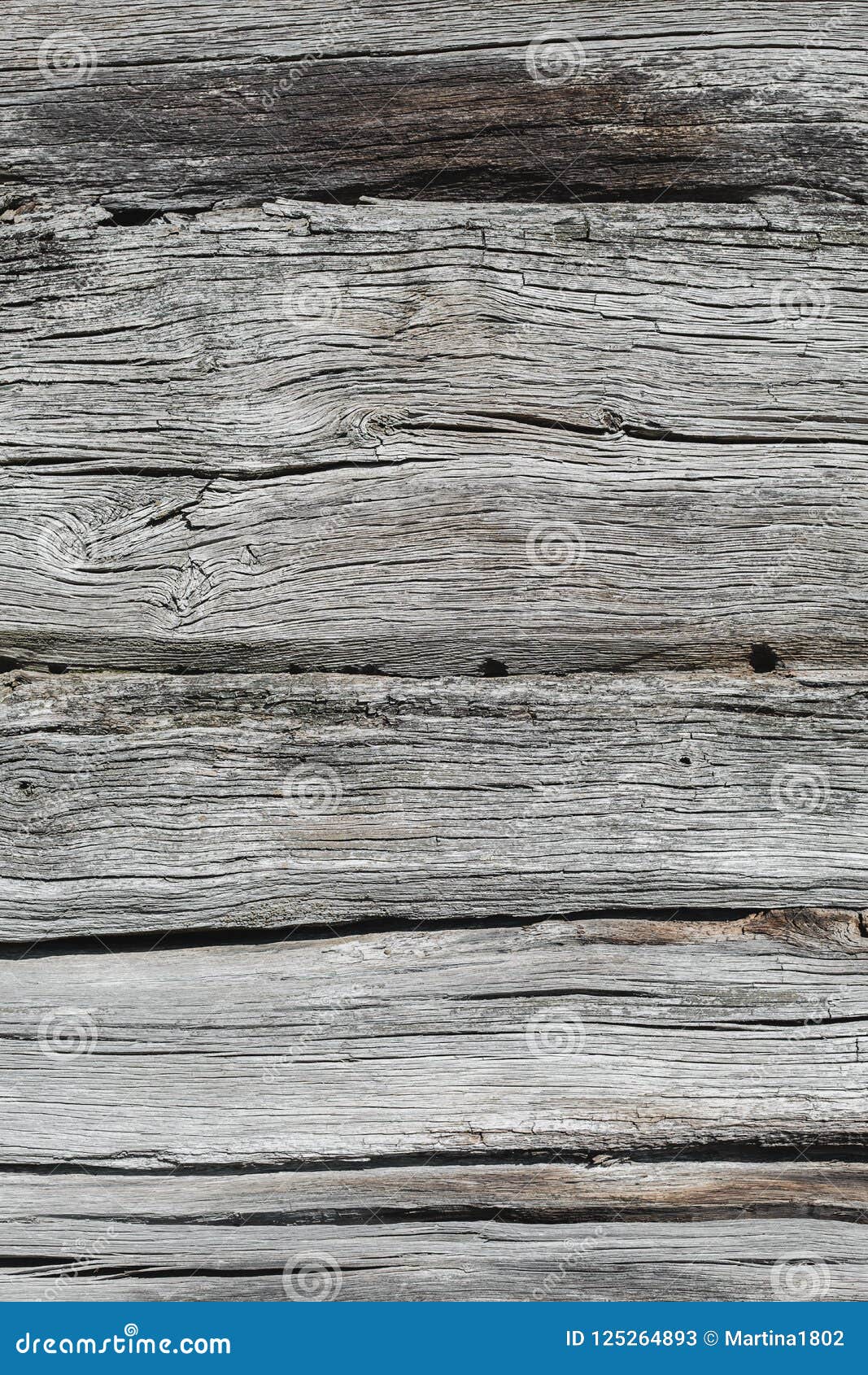 Gray wood texture stock image. Image of floor, decking - 125264893