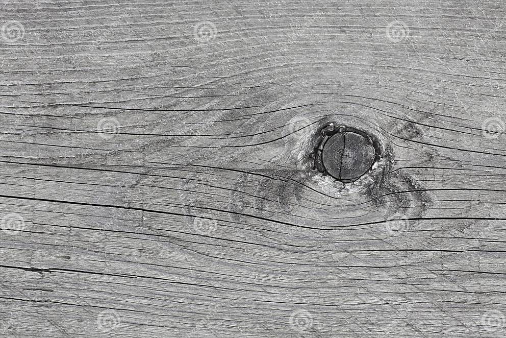 Gray Wooden Background with Knothole Stock Image - Image of wallpaper ...