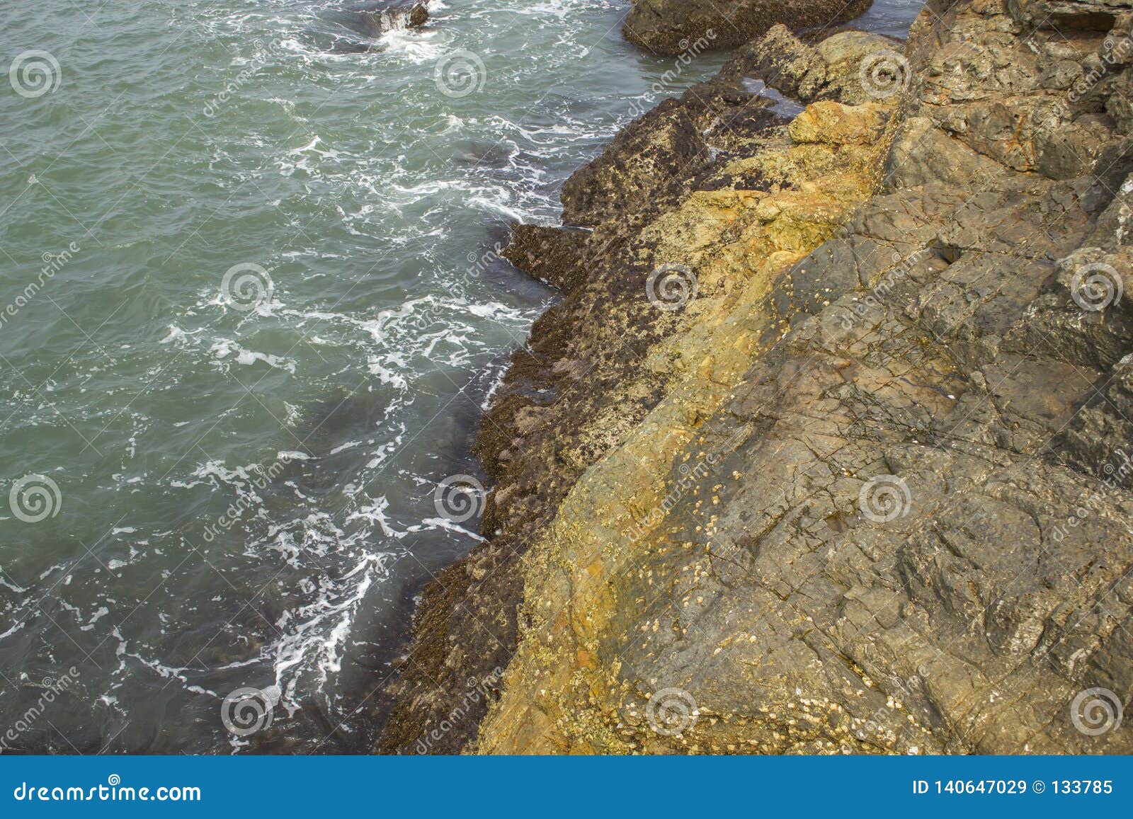 Gray Yellow Rock with Sea Acorns in the Sea Stock Image - Image of ...