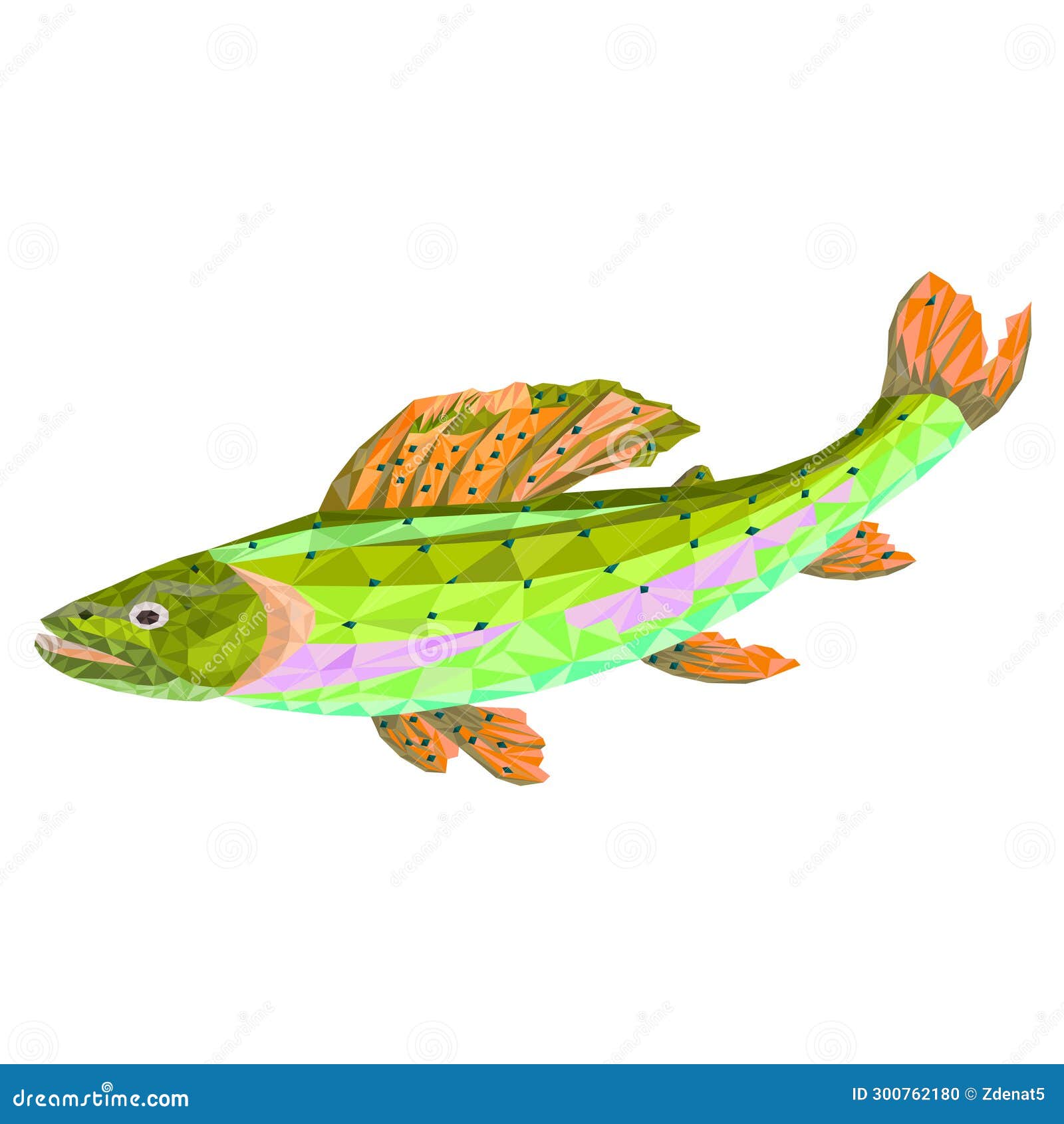 Grayling (Thymallus)predatory Fish Low-polygon on White Background ...