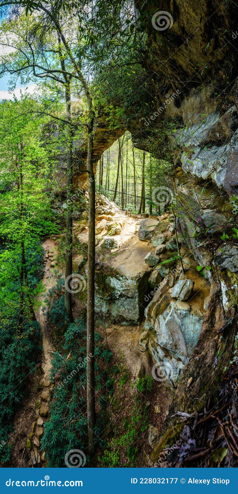 Grays Arch stock image. Image of gorge, beautiful, nature - 228032177
