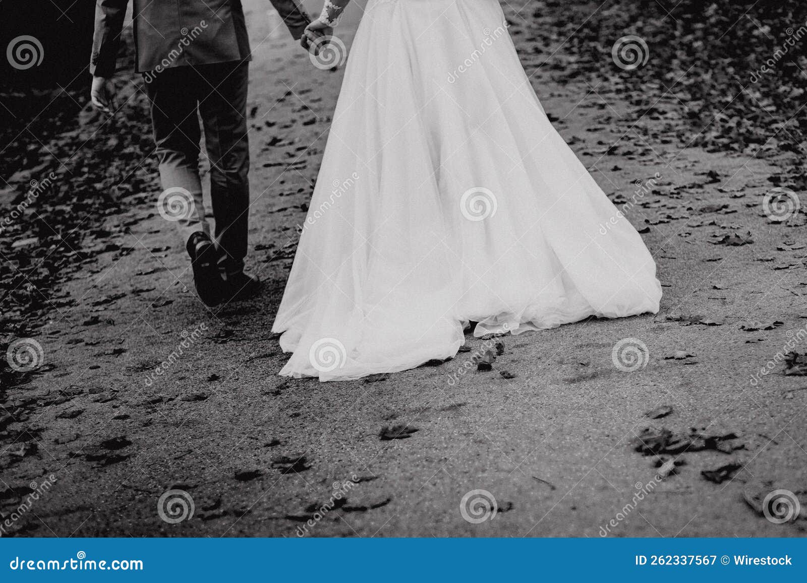 Grayscale Back View of Just Married Couple Stock Image - Image of ...
