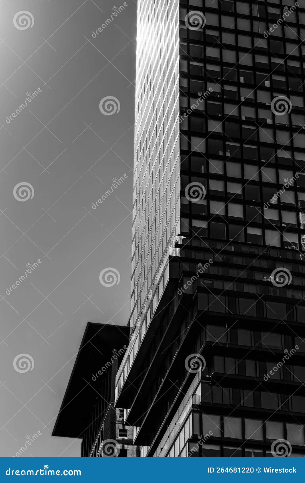 Grayscale Beautiful View of a Skyscraper with Small Windows Stock Photo ...