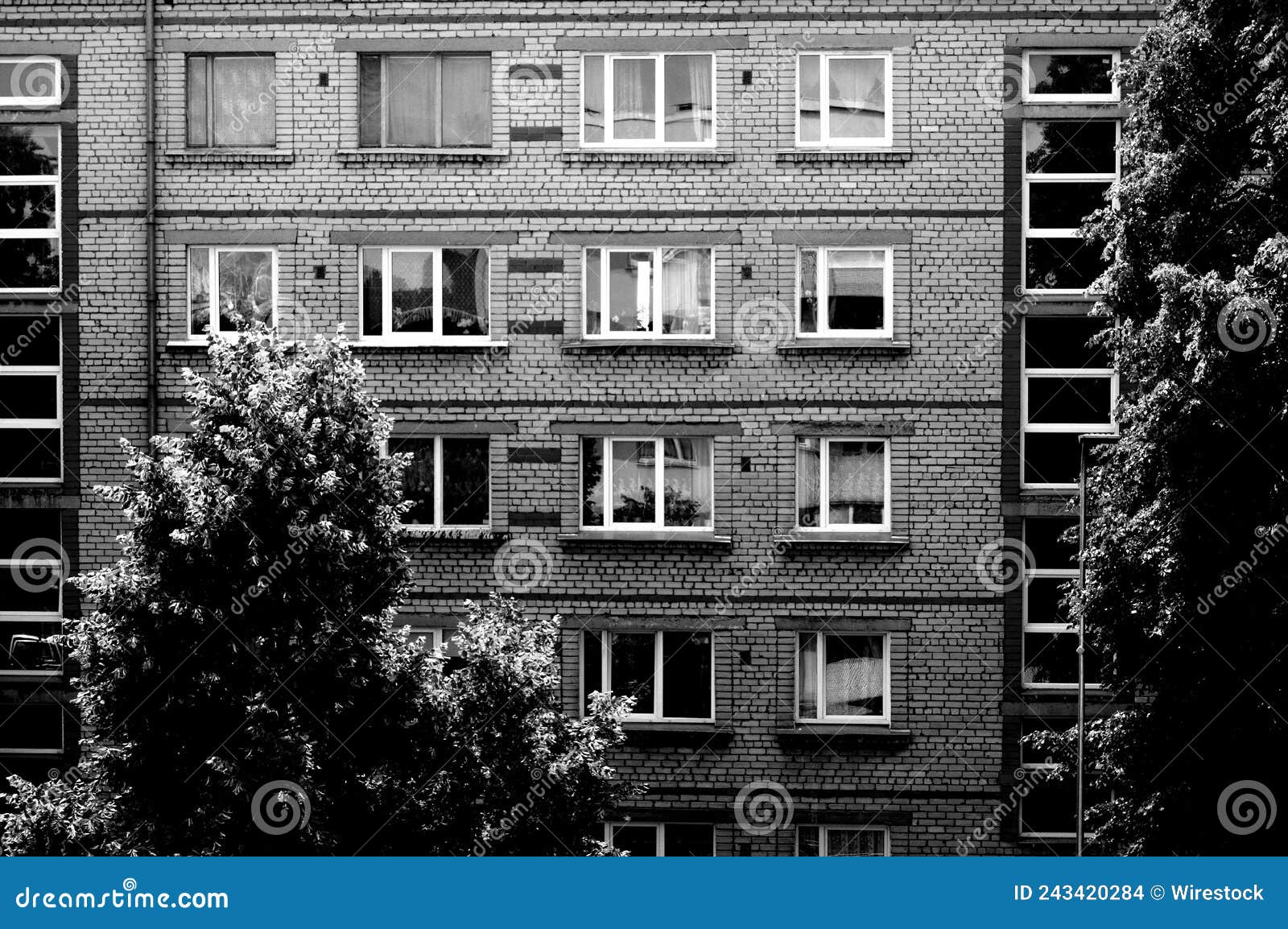 Grayscale of a Brick Building with White Windows Stock Photo - Image of ...