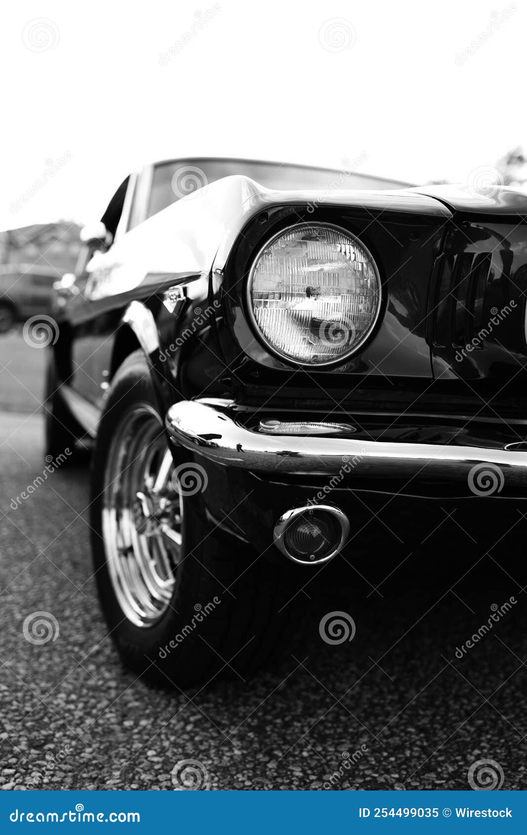 Classic Of Grayscale Color Background Royalty-Free Stock Photography ...